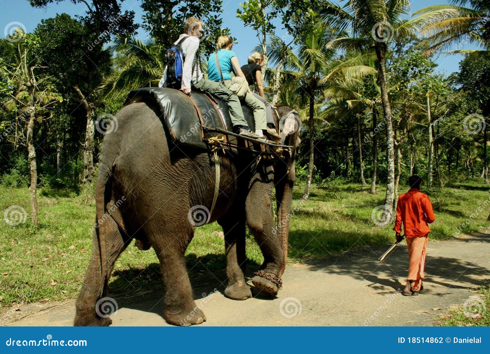 Elephant ride editorial photography. Image of kerala - 18514862