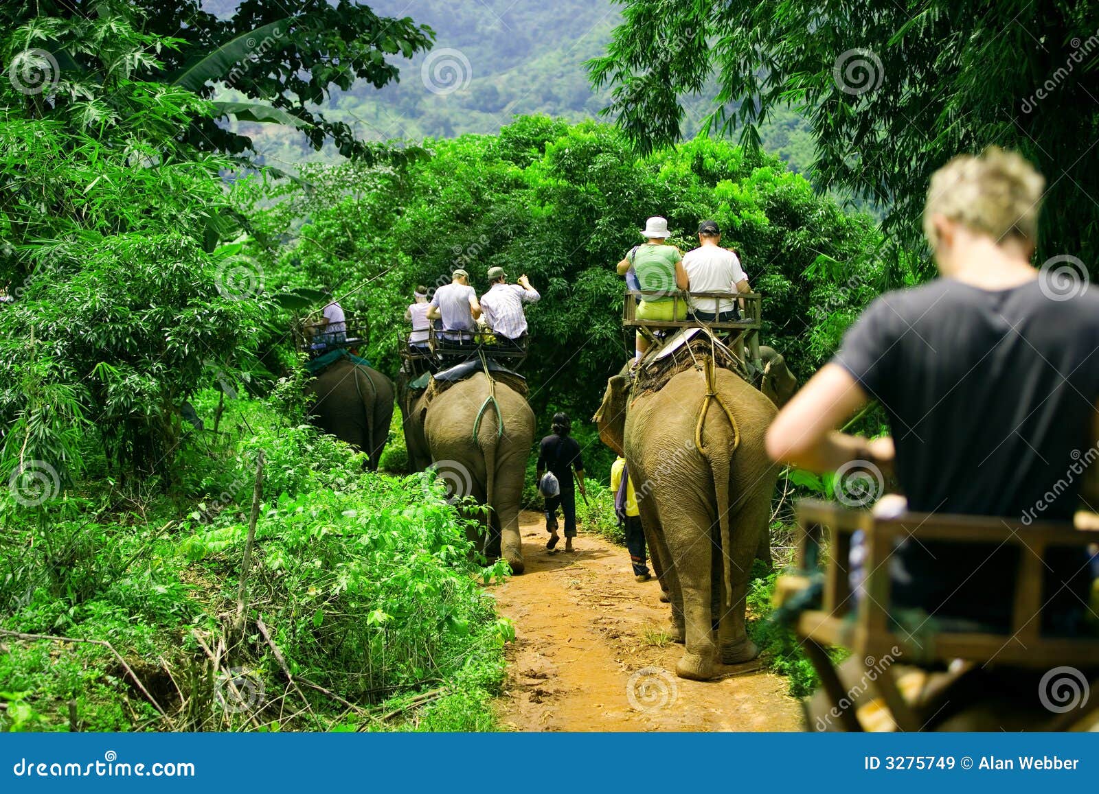 Elephant ride stock image. Image of destination, tourism - 3275749