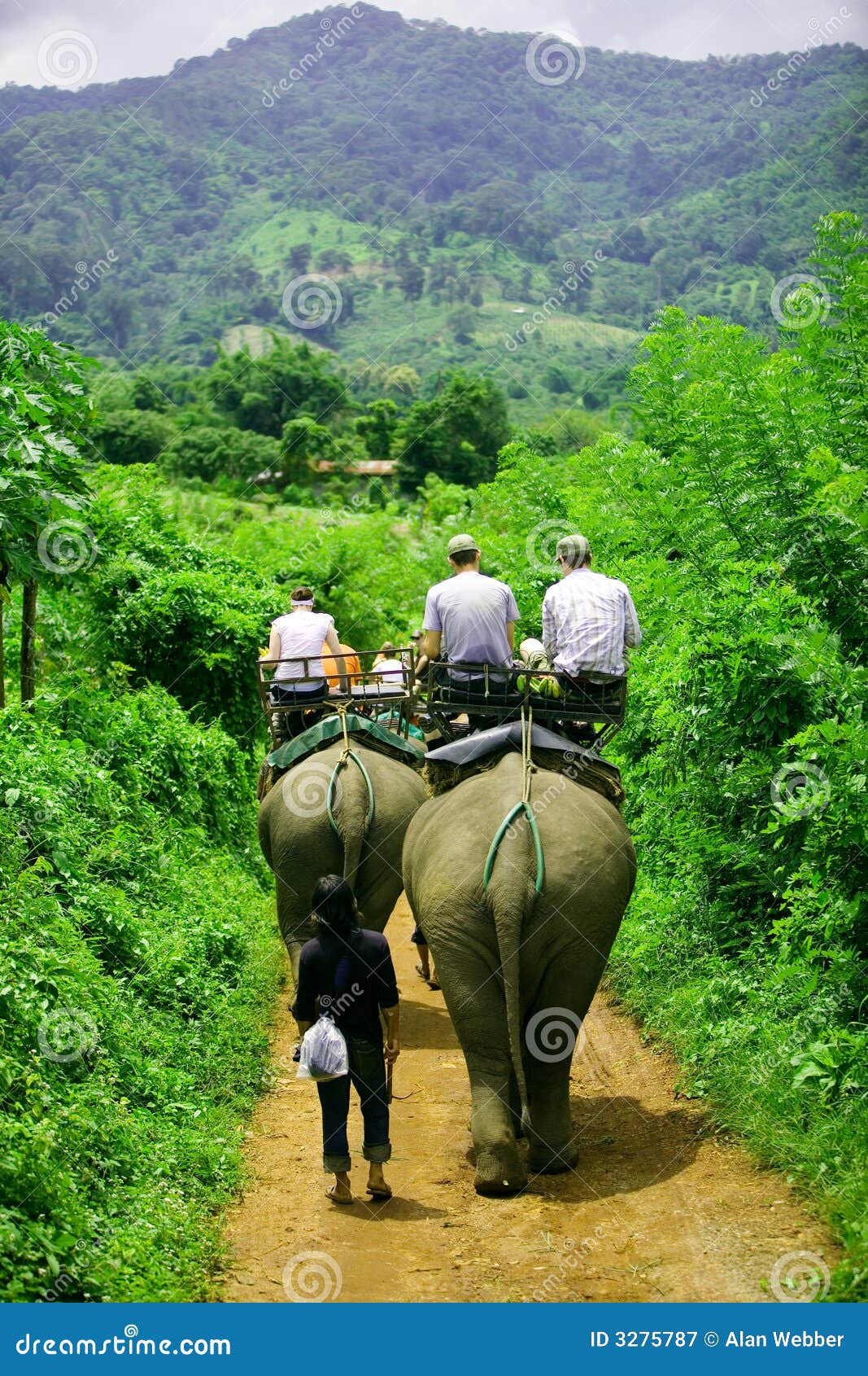 Elephant ride stock image. Image of rugged, path, asia - 3275787