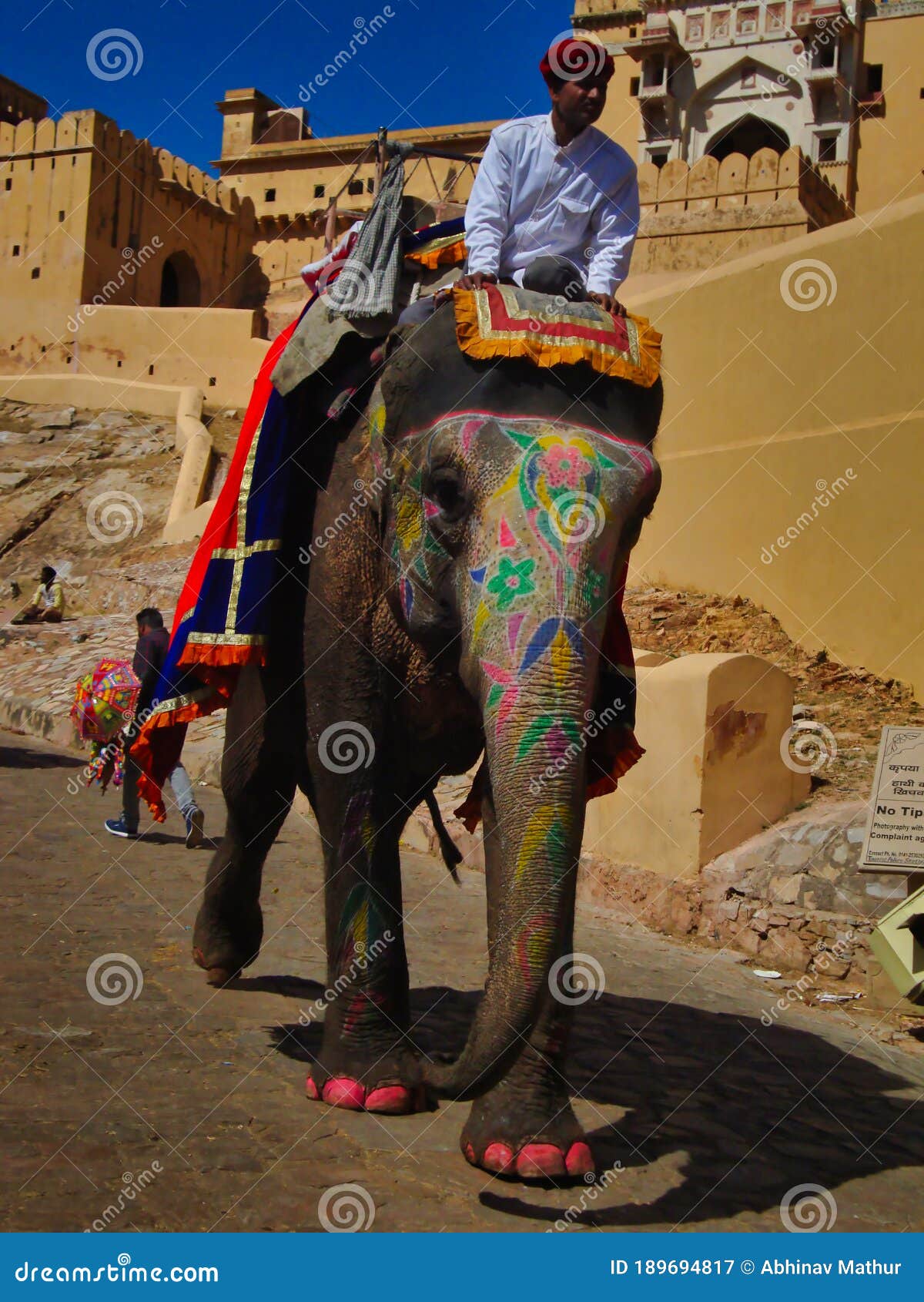Elephant Ride at Amber Fort Editorial Photography - Image of fort ...