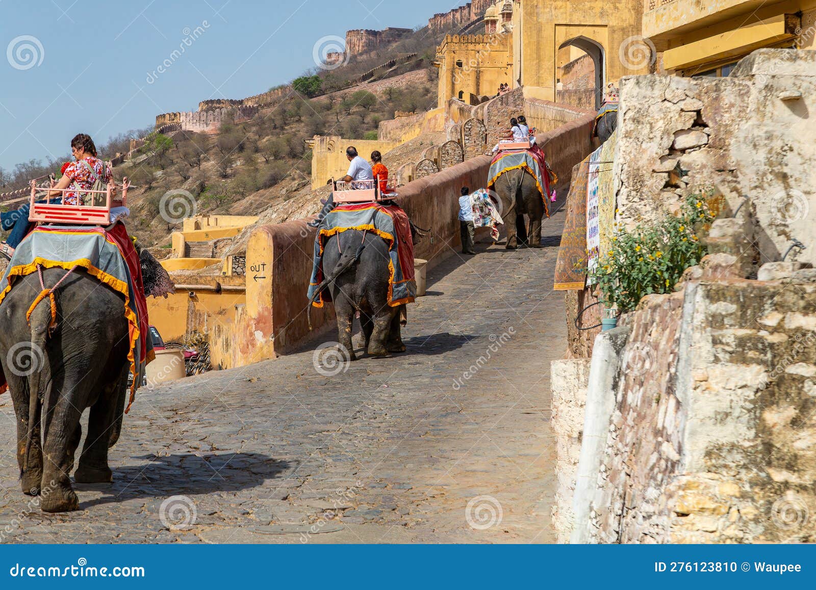 Elephant Ride at Amber Palace in Jaipur Editorial Image - Image of ...