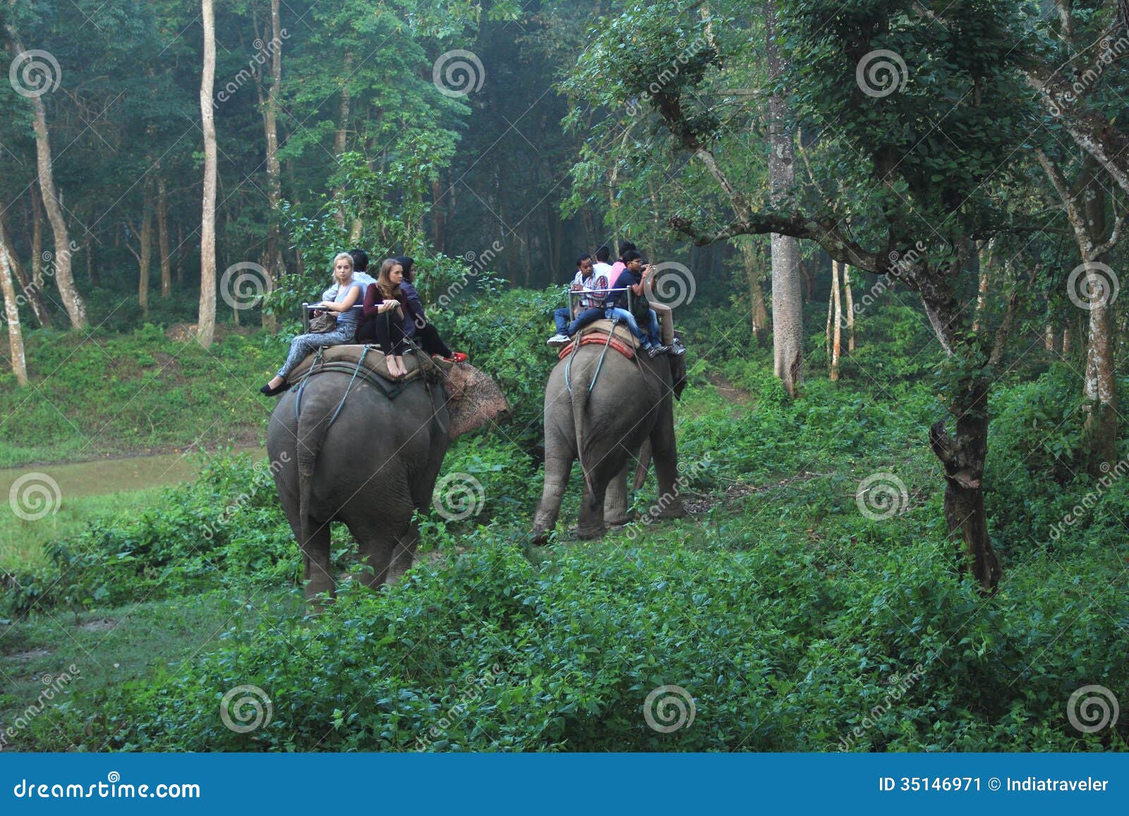 Elephant Ride in Nepal . editorial photo. Image of asia - 35146971