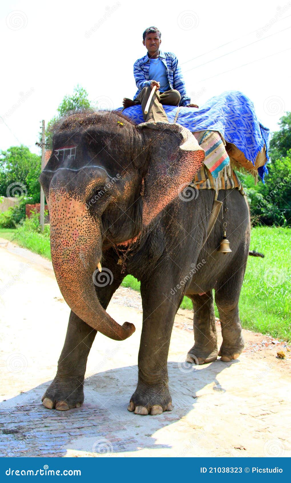 Elephant rider stock image. Image of outdoor, beast, bell - 21038323