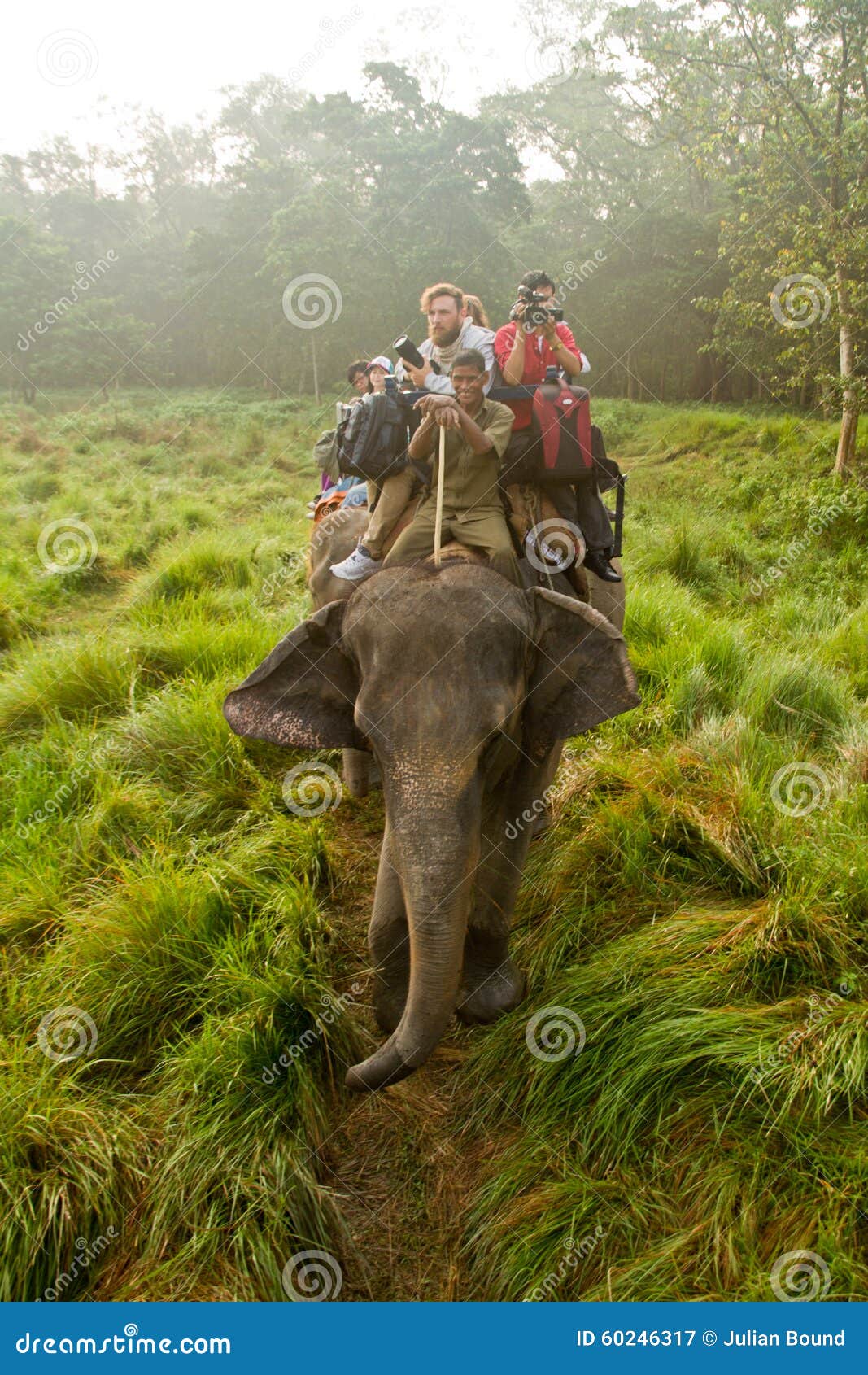 Elephant and Riders, Chitwan National Park, Chitwan, Nepal Editorial ...
