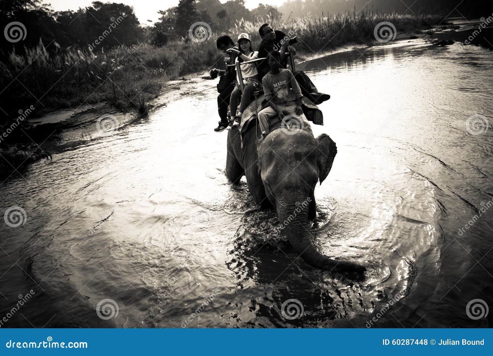 Elephant and Riders, Chitwan National Park, Chitwan, Nepal Editorial ...