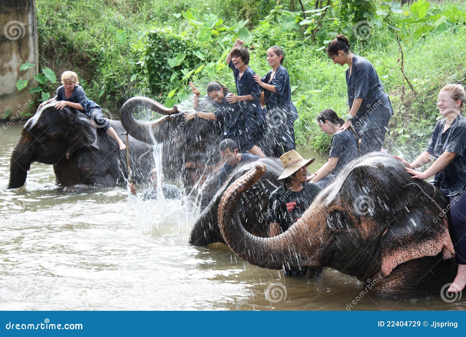 Elephant riding editorial stock image. Image of fauna - 22404729