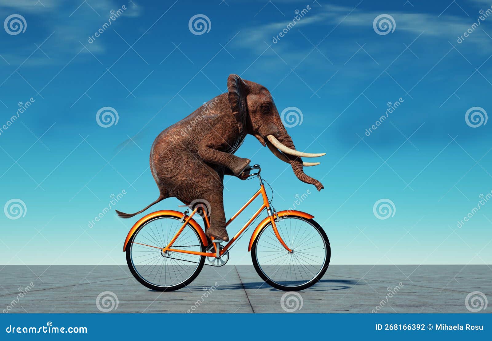 Elephant Riding on Bike. Impossible and Happiness Concept Stock ...