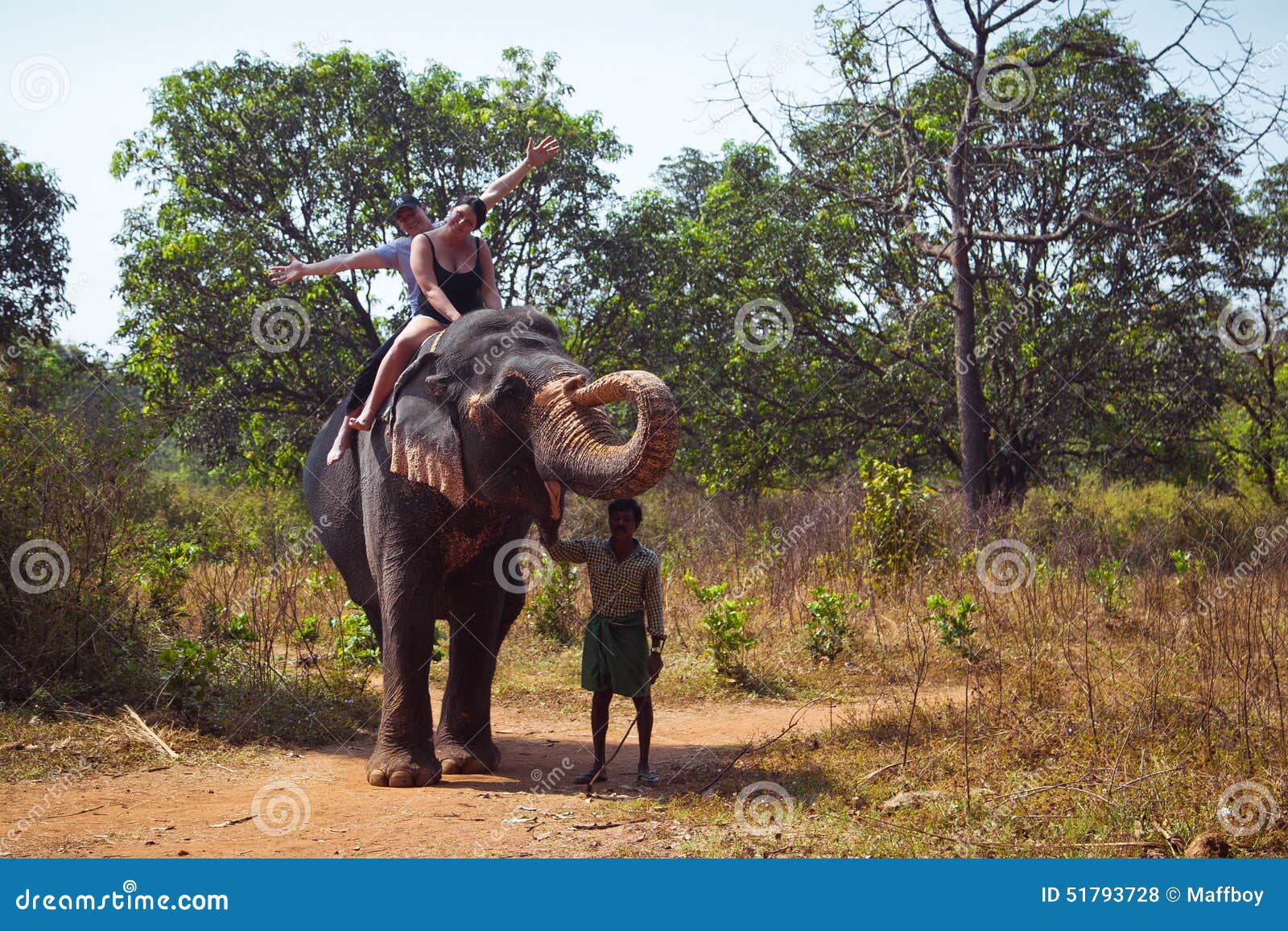 Elephant riding editorial stock photo. Image of funny - 51793728