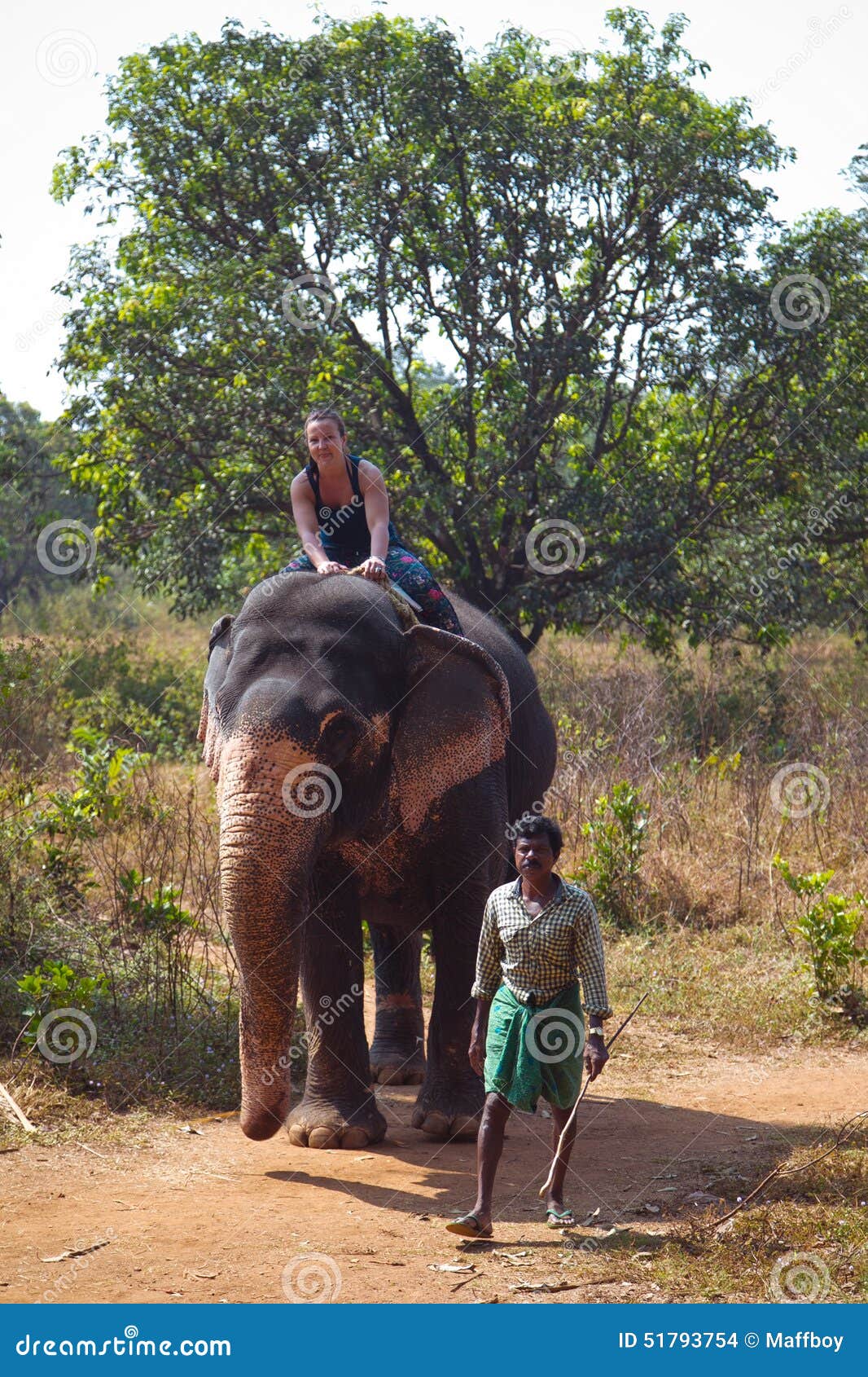 Elephant riding editorial stock image. Image of animal - 51793754