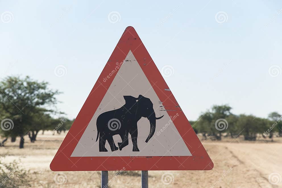 Elephant road sign stock image. Image of safety, animals - 14722847