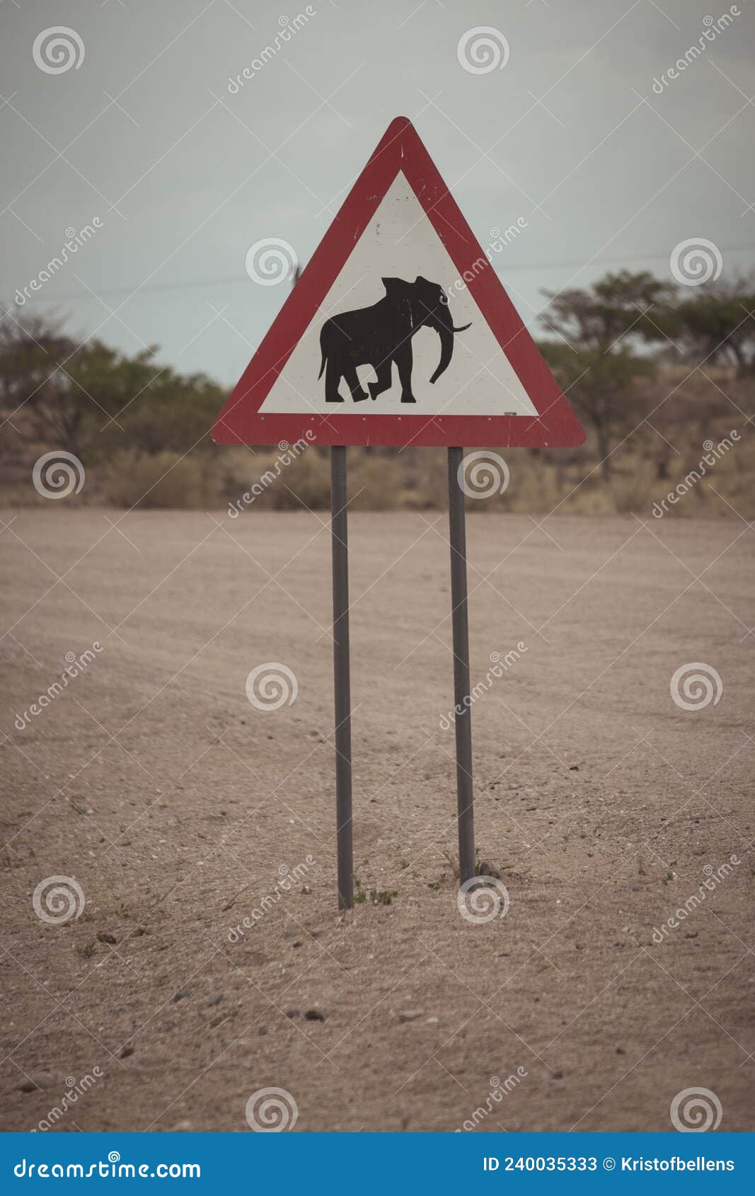 Elephant road sign warning stock image. Image of tourism - 240035333