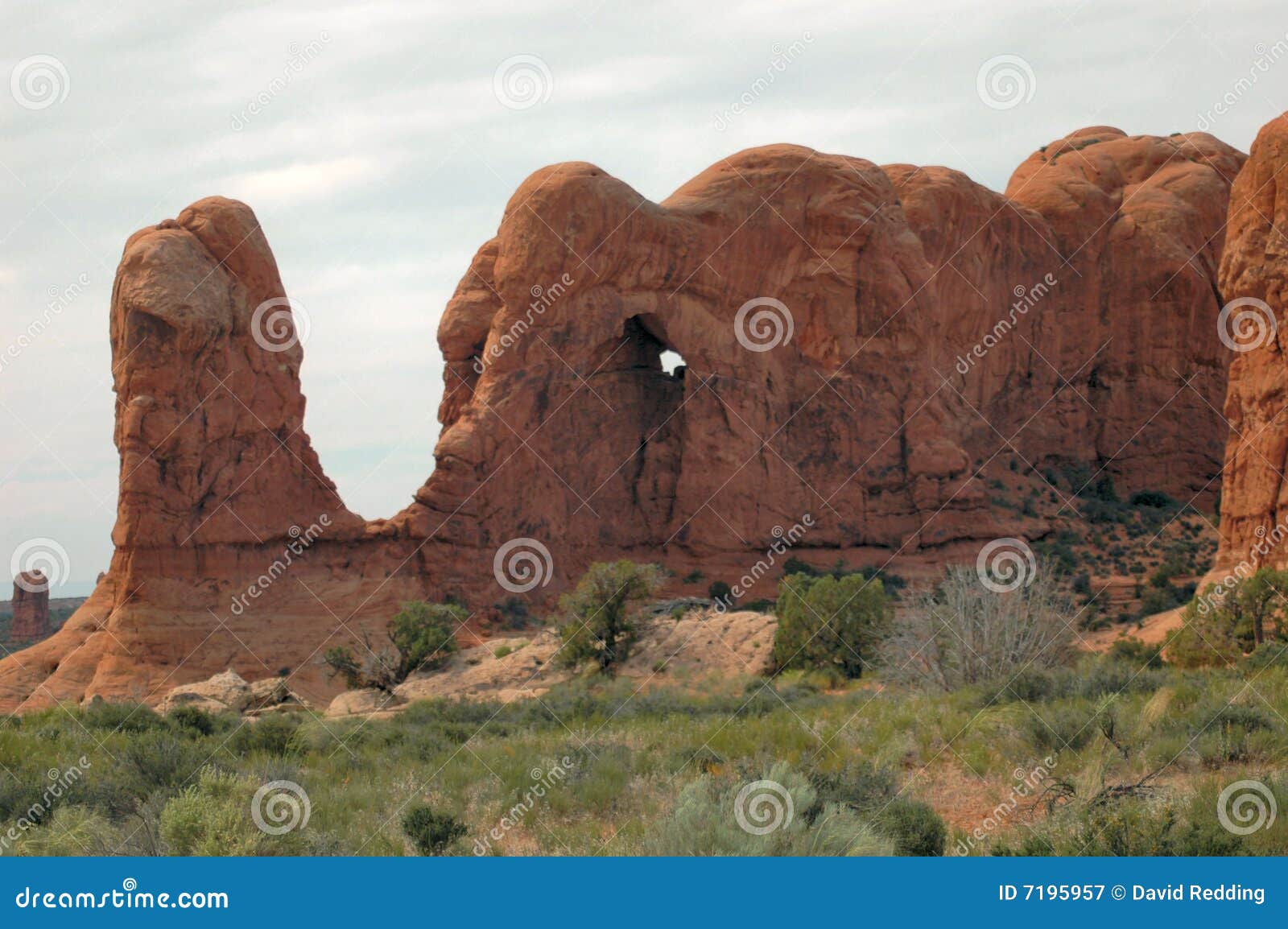 Elephant Rock Arches National Park Stock Image - Image of sandstone ...