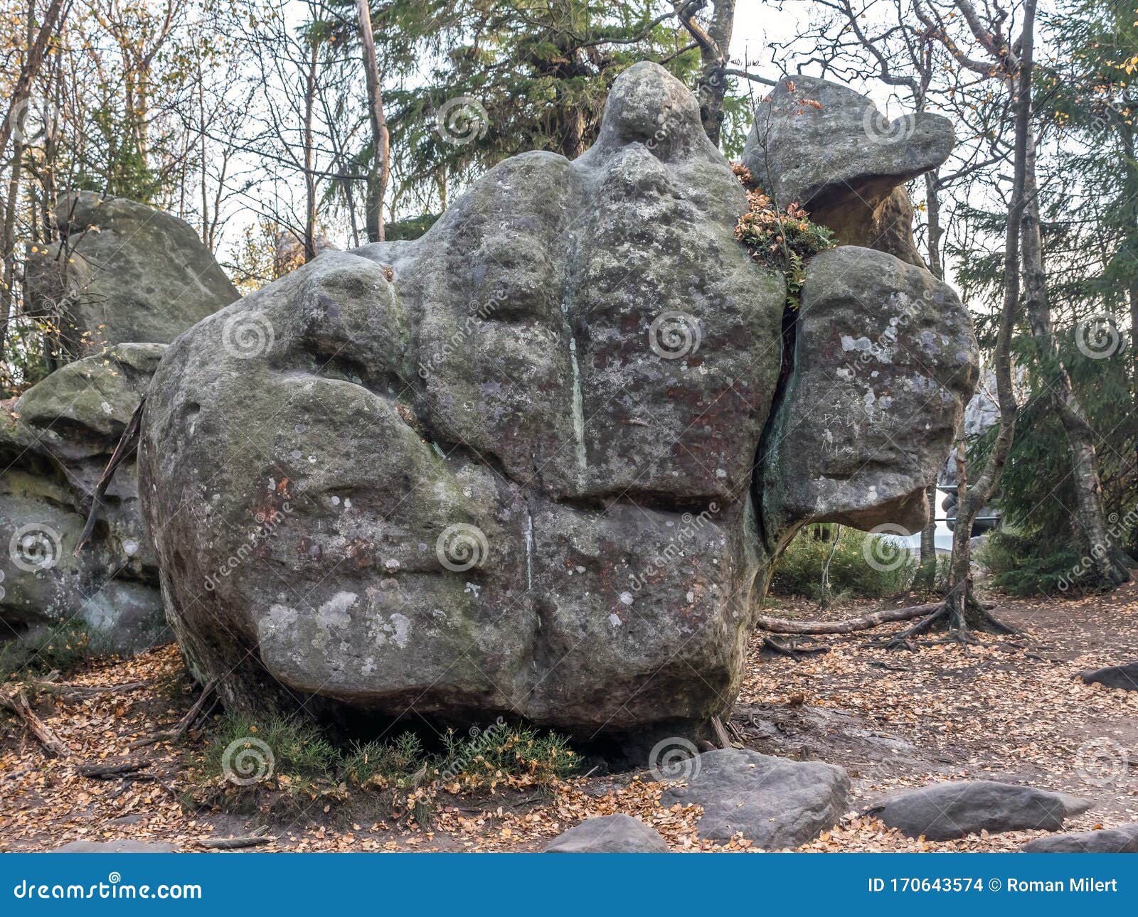The Elephant Rock Formation in the Table Mountain National Park, Poland ...