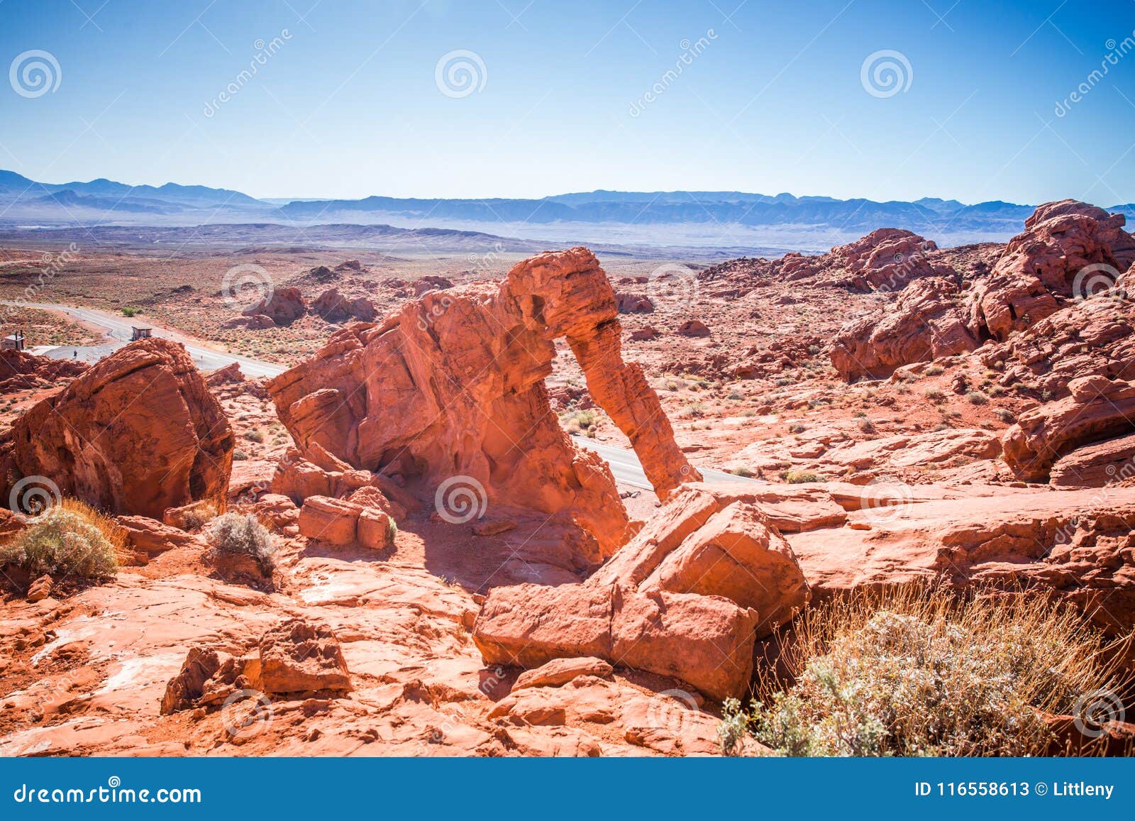 Elephant Rock Valley of Fire Stock Image - Image of america, landscape ...