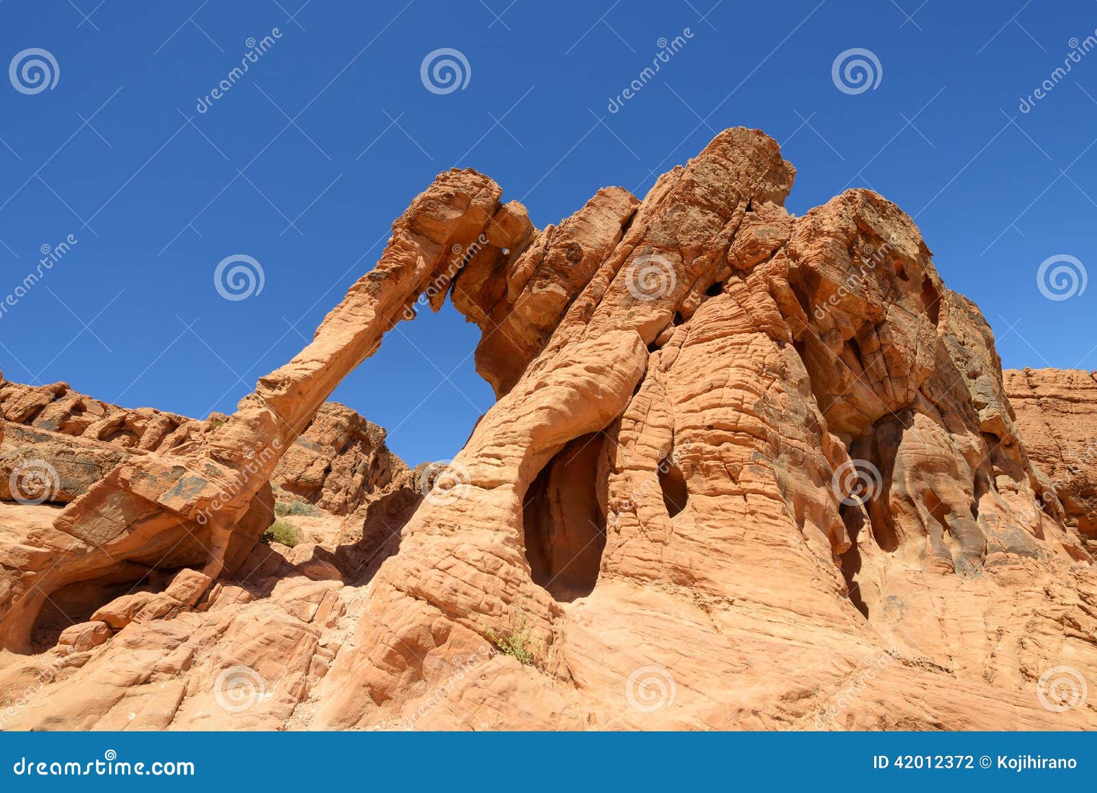 Elephant Rock In Valley Of Fire State Park, USA. Valley Of Fire Stock ...