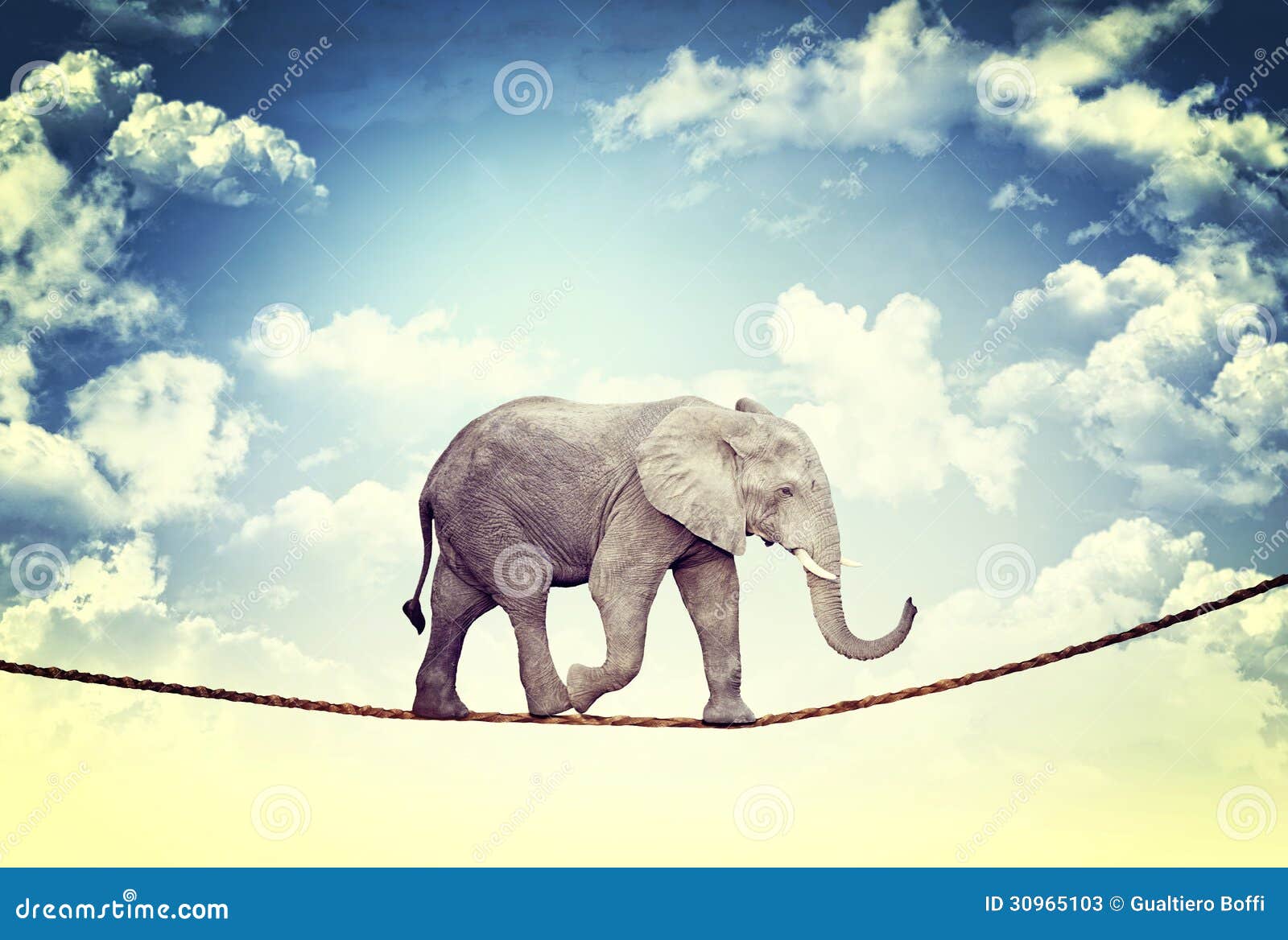 Elephant on rope stock illustration. Illustration of impossible - 30965103