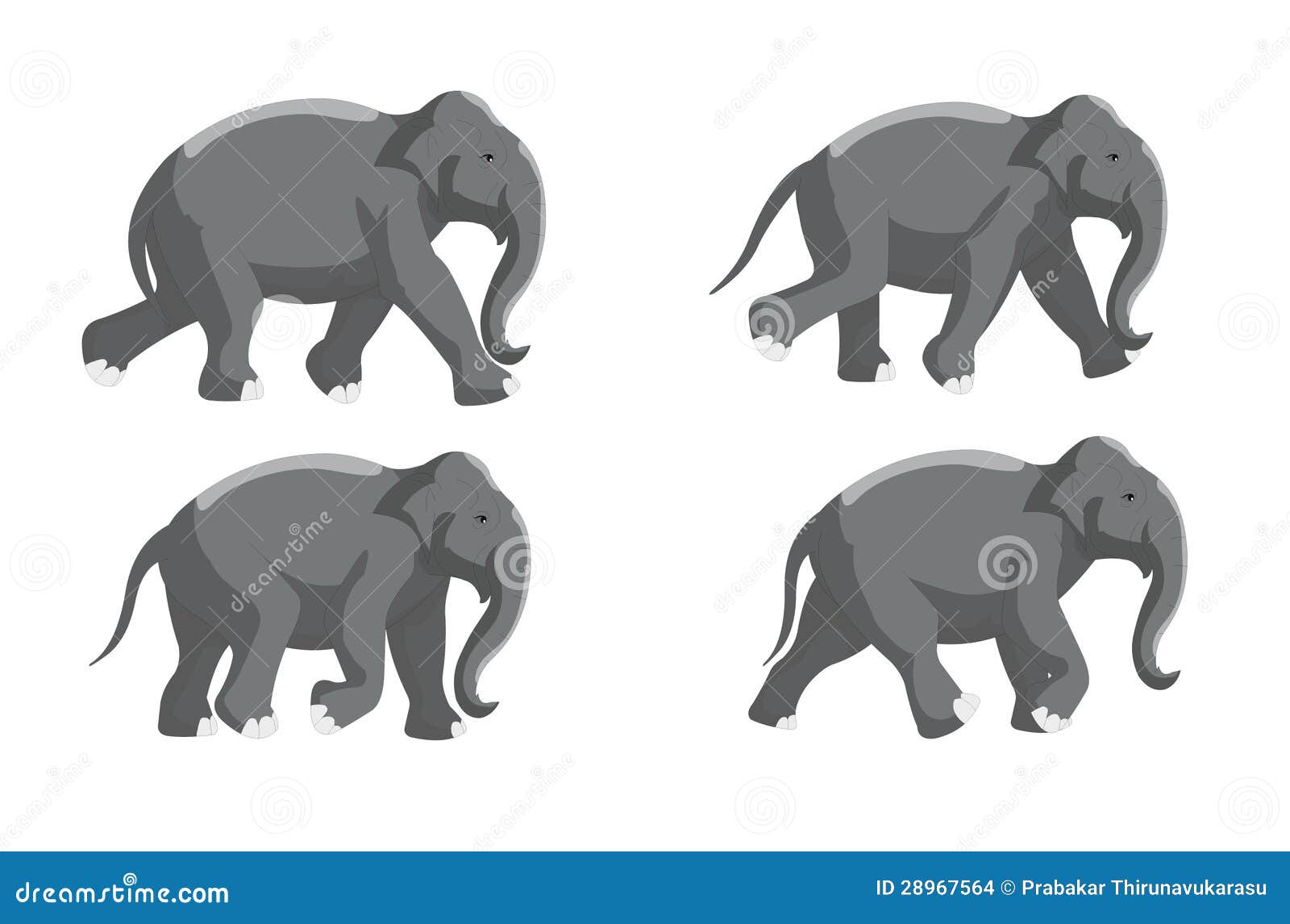 Elephant Run stock illustration. Illustration of forest - 28967564