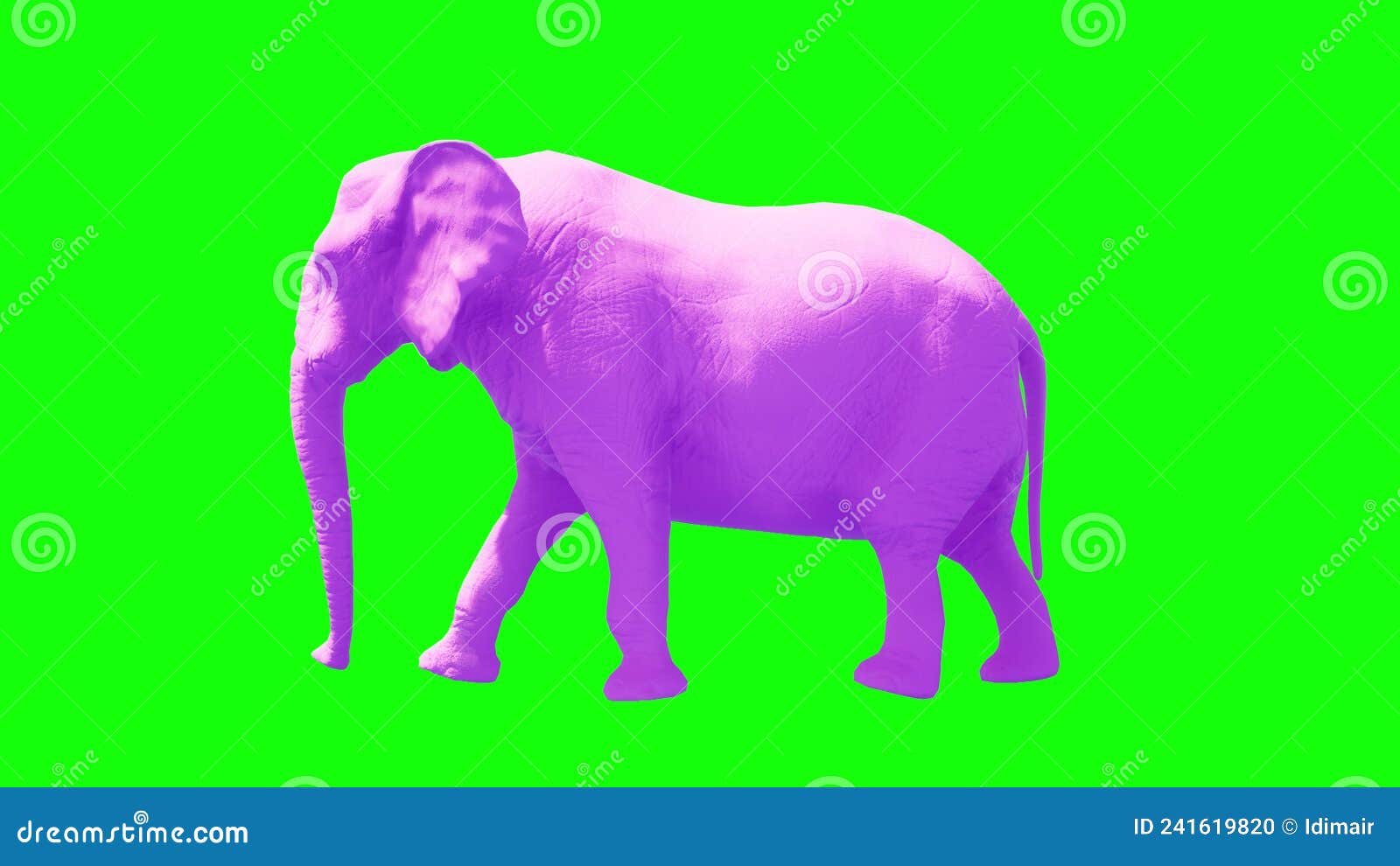 Elephant Run OnTransparent Background 3d Rendering Animation Stock ...