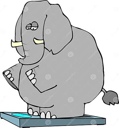 Elephant on Scales stock illustration. Illustration of mammal - 2638286