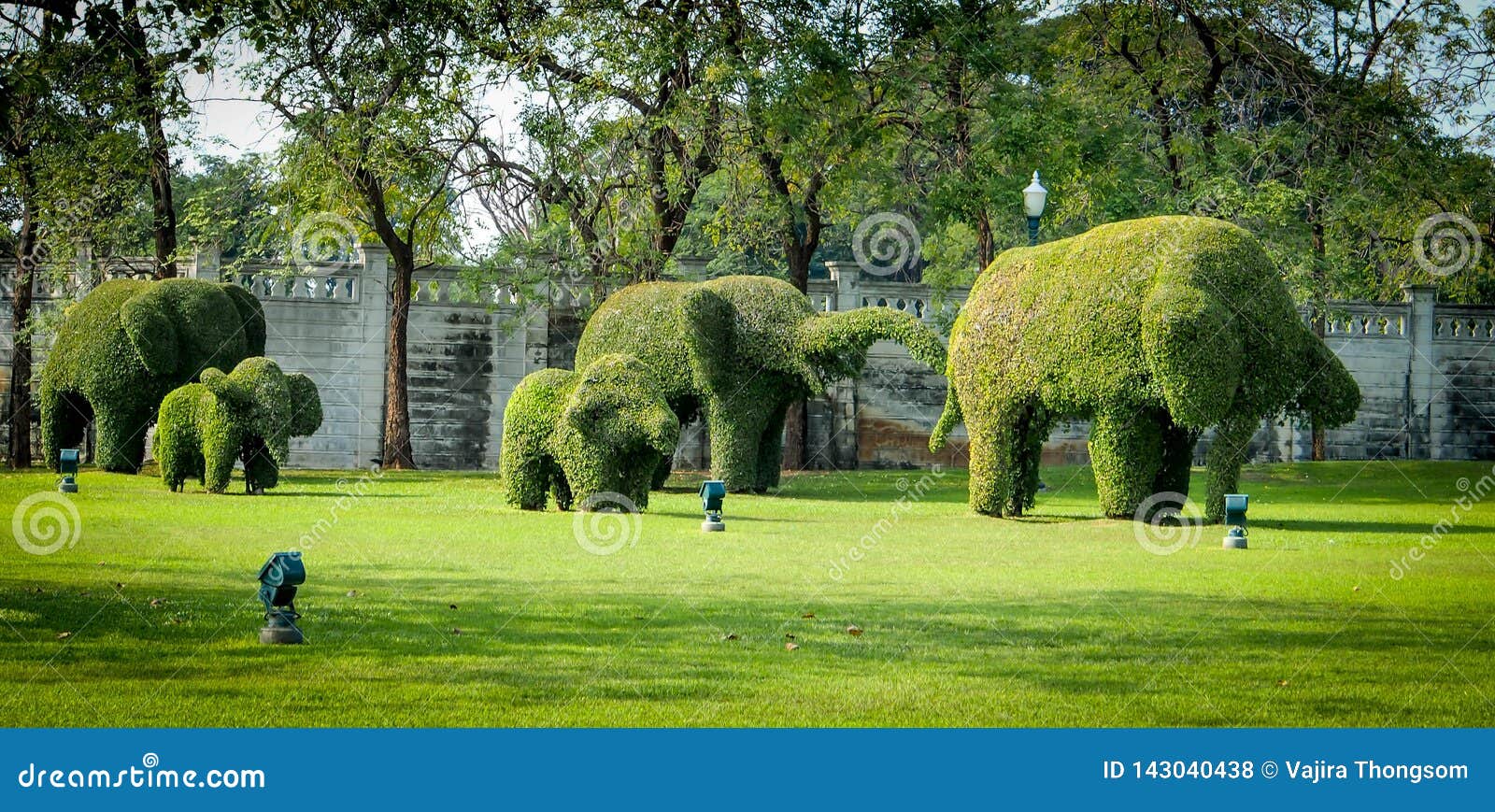 Elephant Shape Cutting Design Tree on Green Field Stock Photo - Image ...
