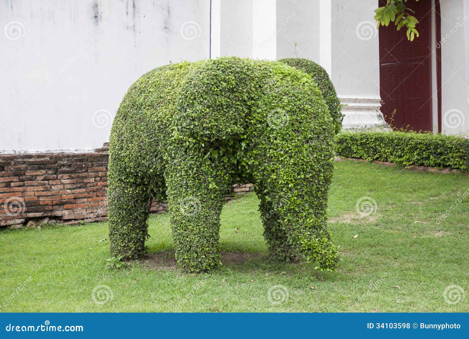 Elephant shaped bush stock photo. Image of bush, green - 34103598
