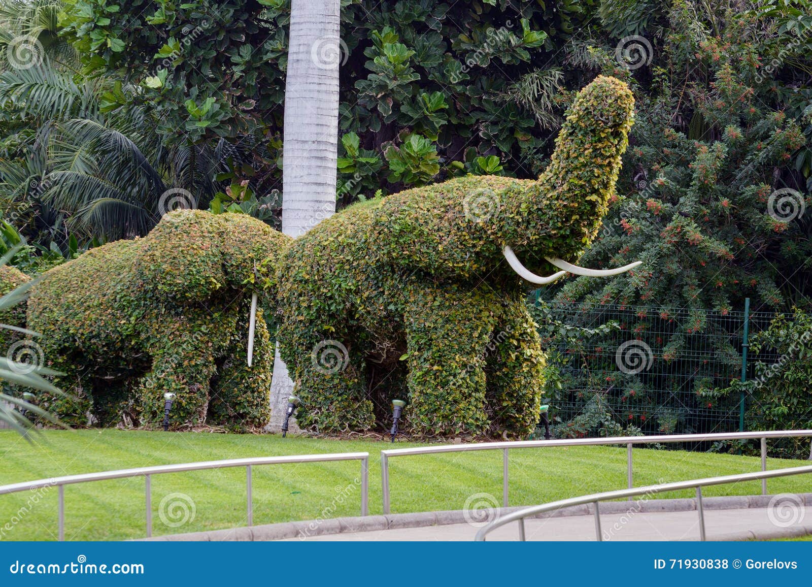 Elephant Shaped Topiary Green Trees in Ornamental Garden Stock Photo ...