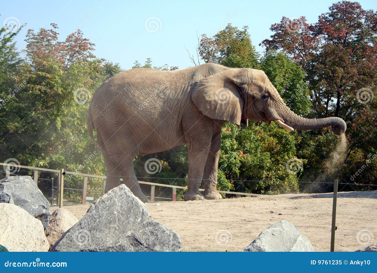 Elephant Shower stock image. Image of intelligence, hungry - 9761235