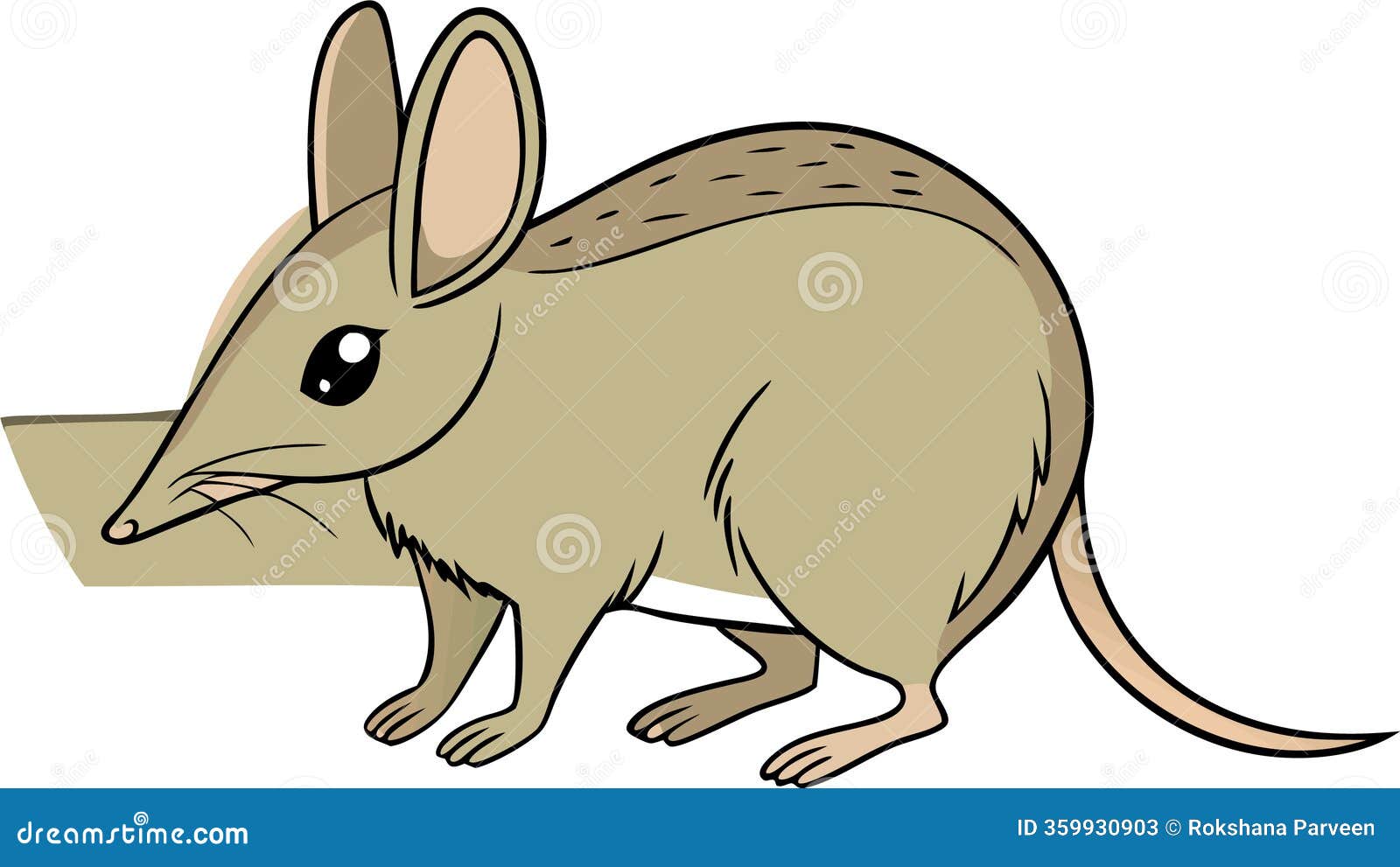 Elephant Shrew, Full Body Realistic Image Stock Illustration ...