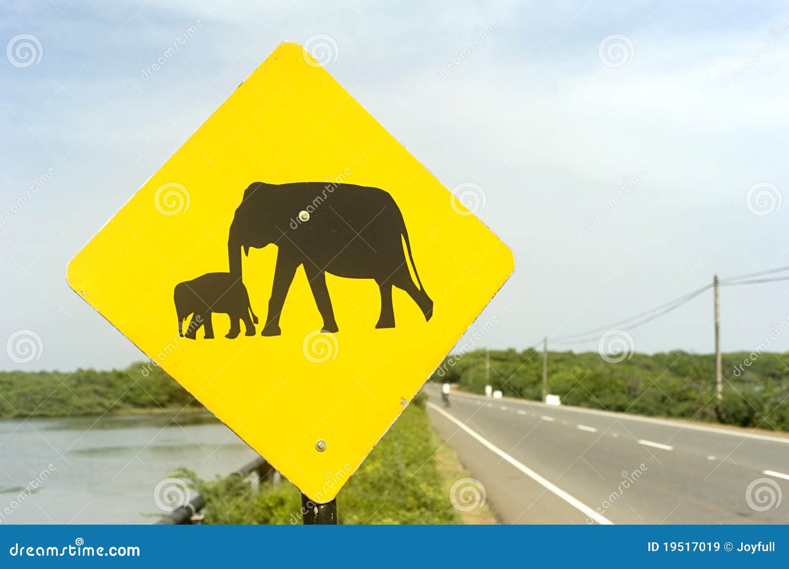 Elephant Sign stock image. Image of lanka, blue, horizon - 19517019