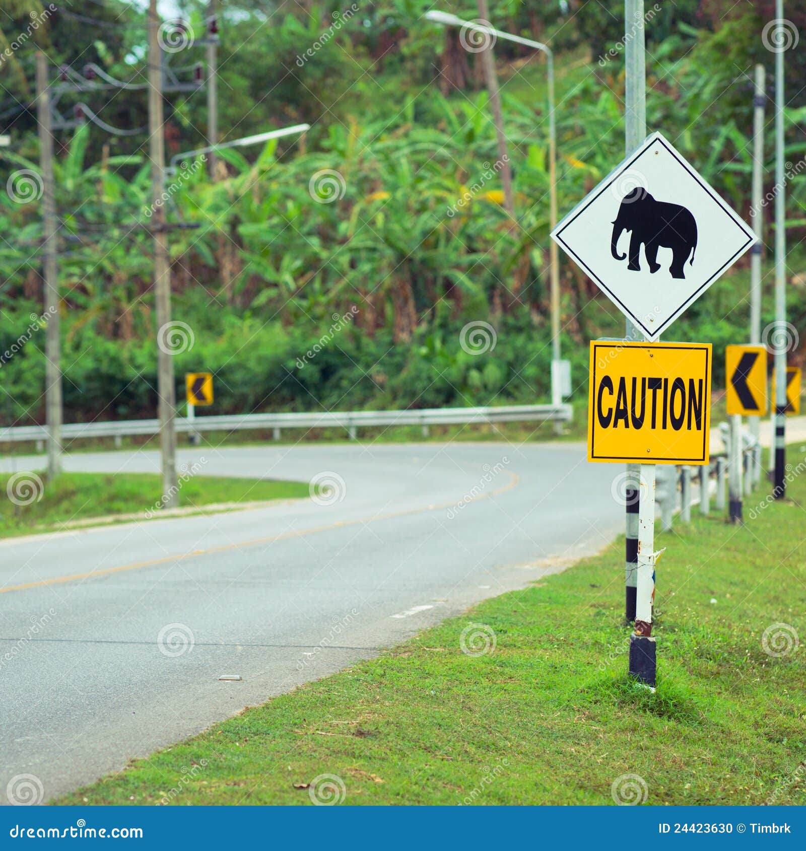Elephant sign stock photo. Image of asia, symbol, travel - 24423630