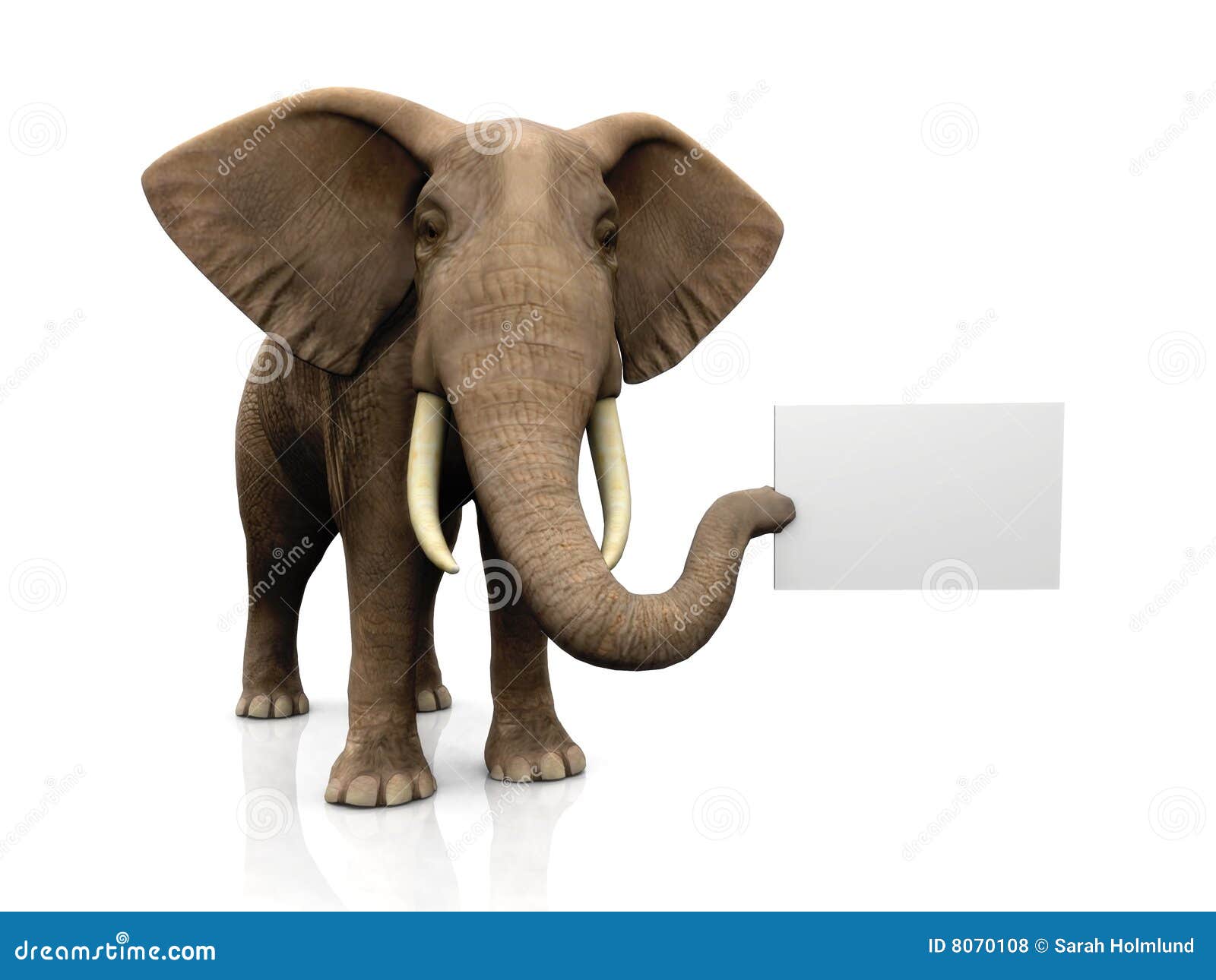 Elephant with sign stock illustration. Illustration of holding - 8070108