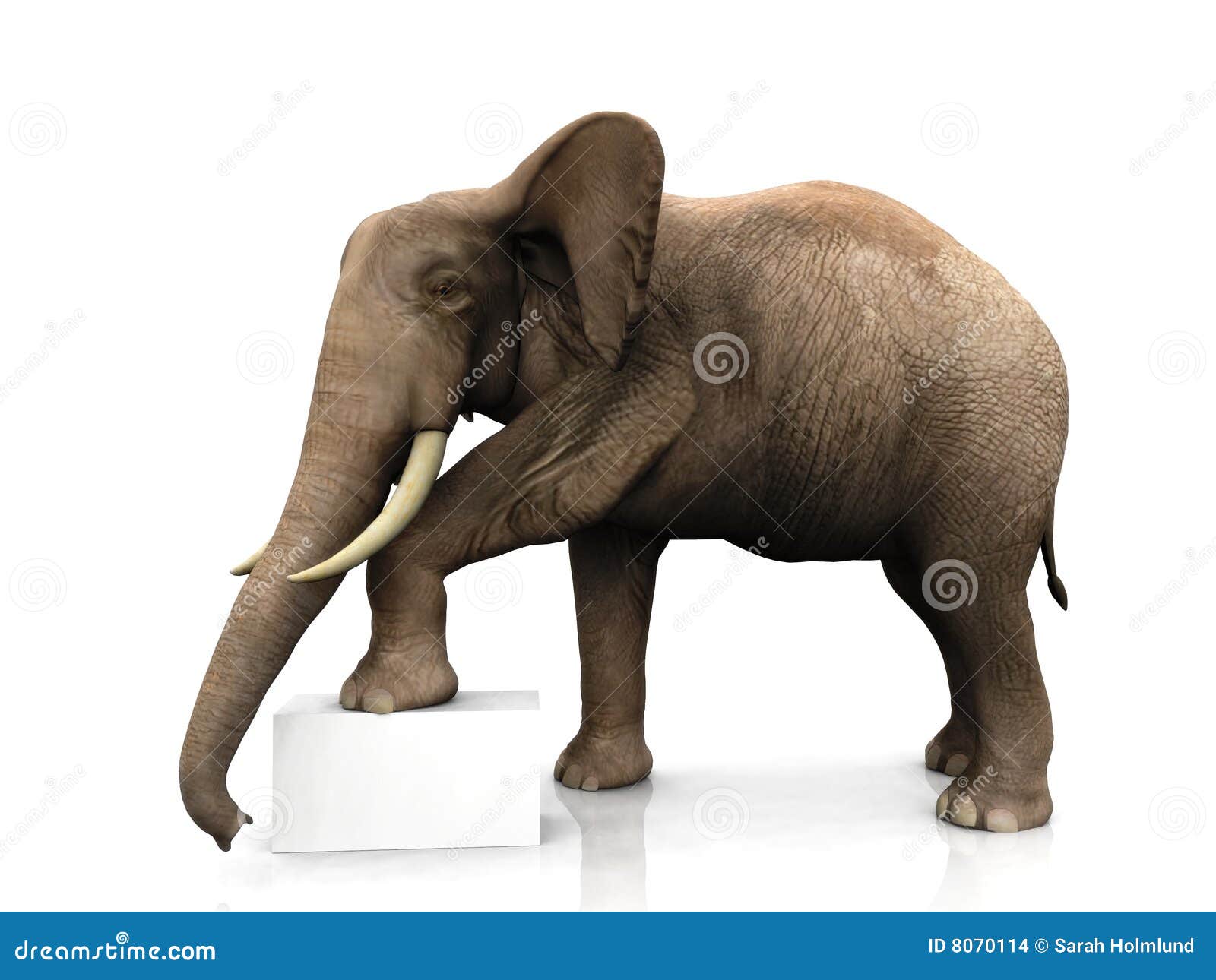 Elephant with sign stock illustration. Illustration of empty - 8070114