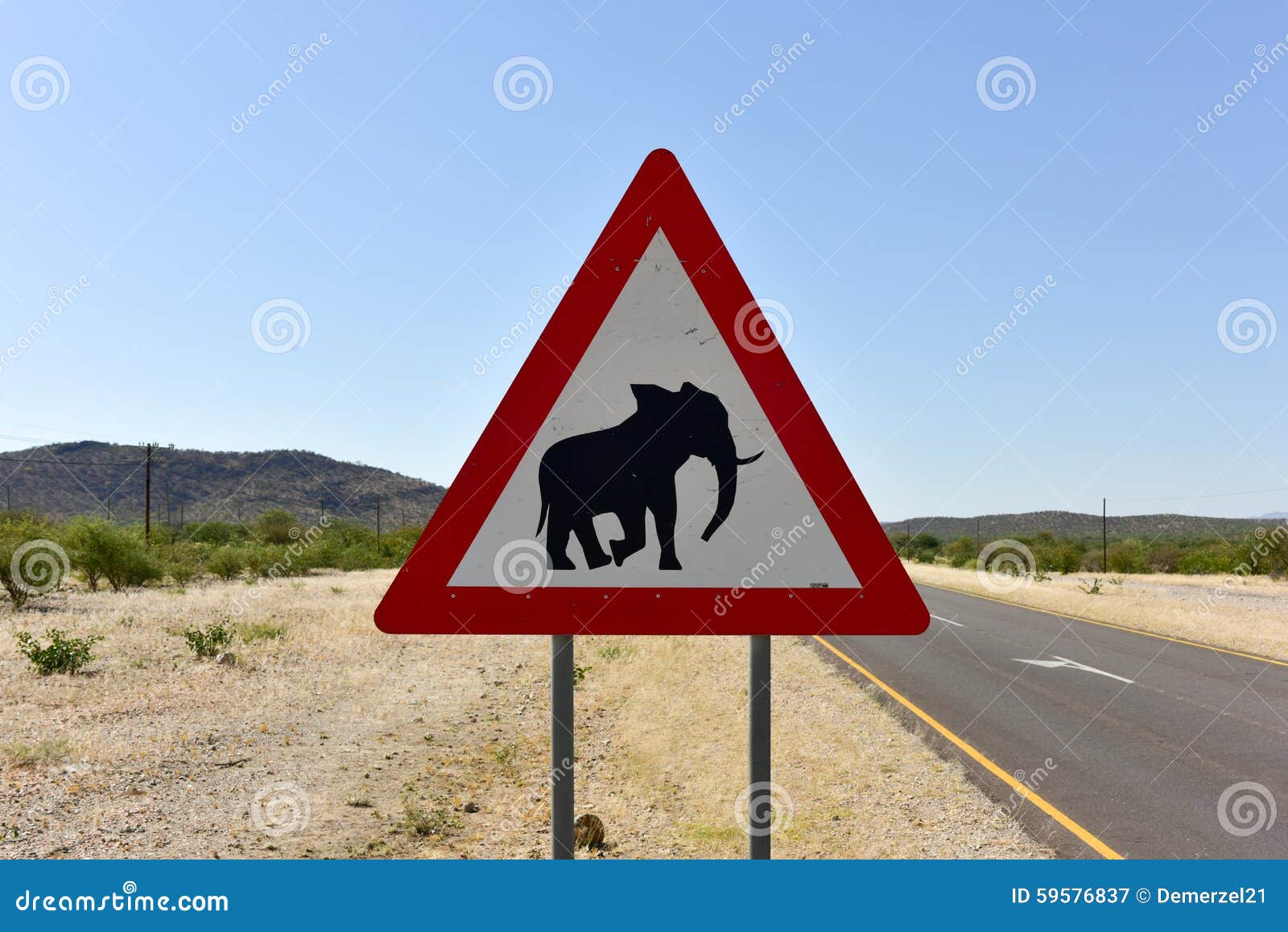 Elephant Sign - Namibia stock image. Image of namibia - 59576837