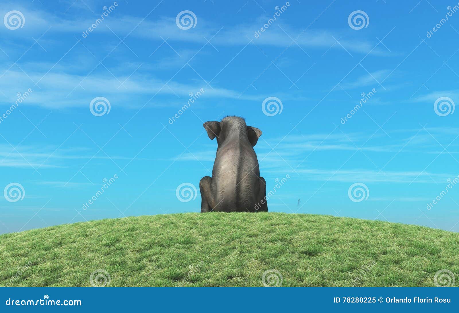 Elephant sits atop a hill stock image. Image of contemplation - 78280225