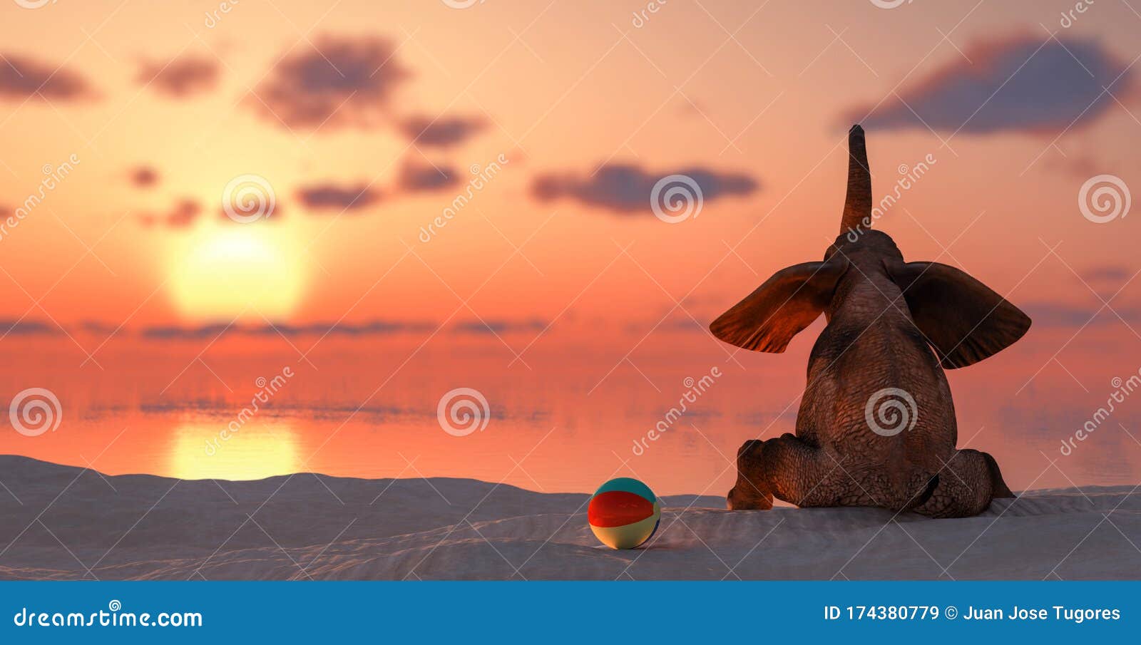 Elephant Sitting on the Beach Watching or the Sunset Stock Illustration ...