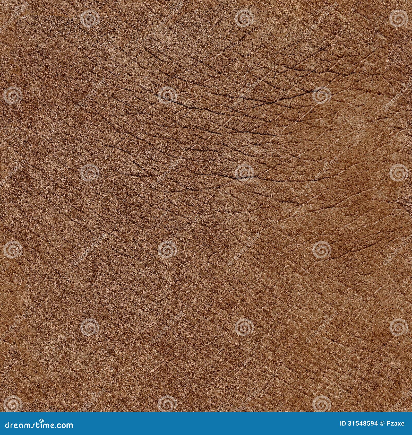 Seamless Natural Wood Pallet Texture Royalty-Free Stock Image ...