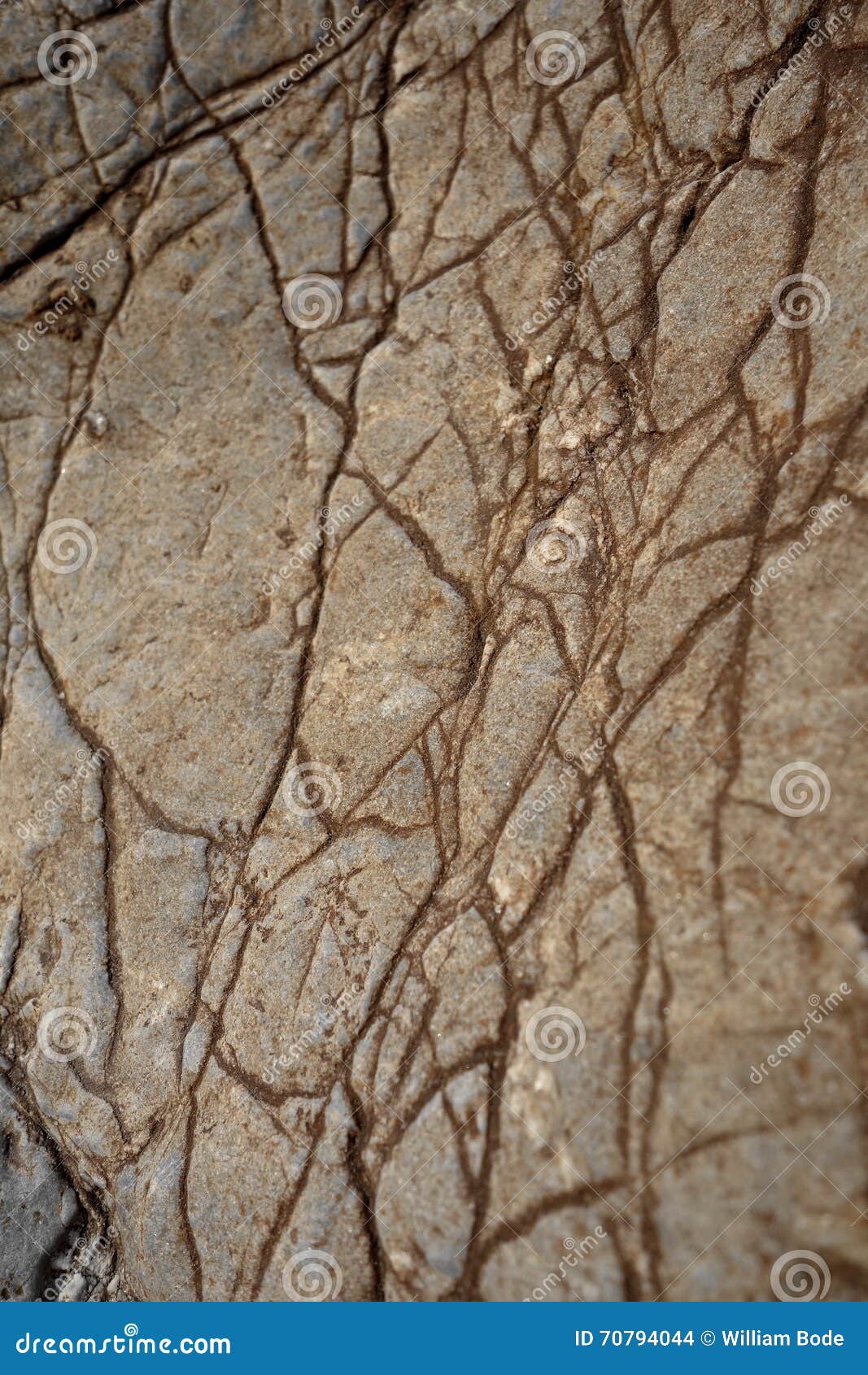 Elephant Skin Stone stock photo. Image of lines, elephant - 70794044