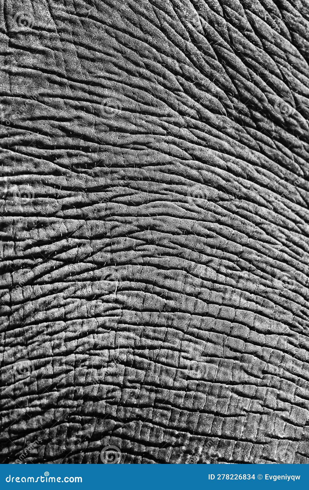 Elephant Skin Texture Abstract Background Stock Photo - Image of line ...