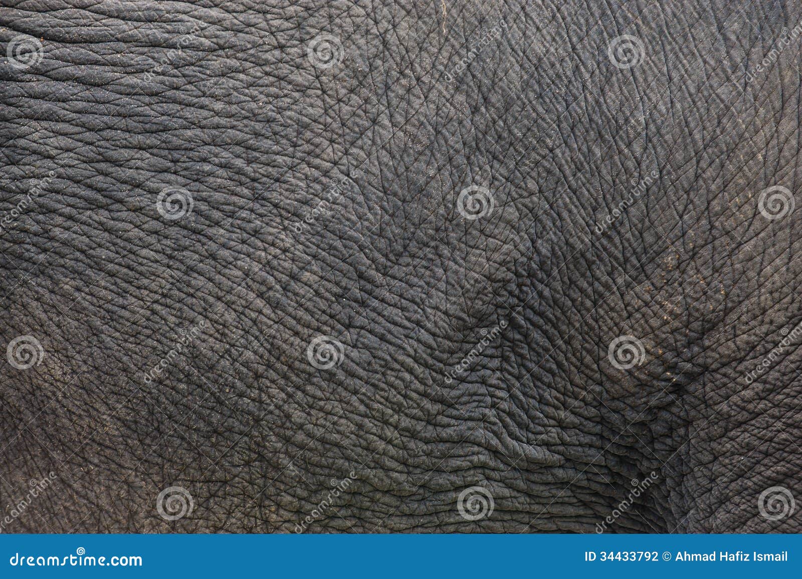 Elephant Skin Print