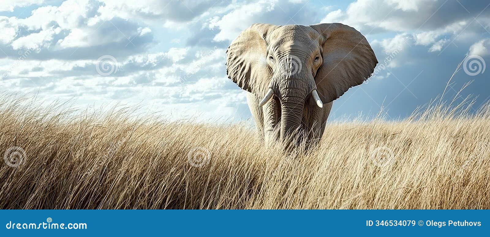 Elephant Fluffy Toy In Graveyard Royalty-Free Stock Photography ...