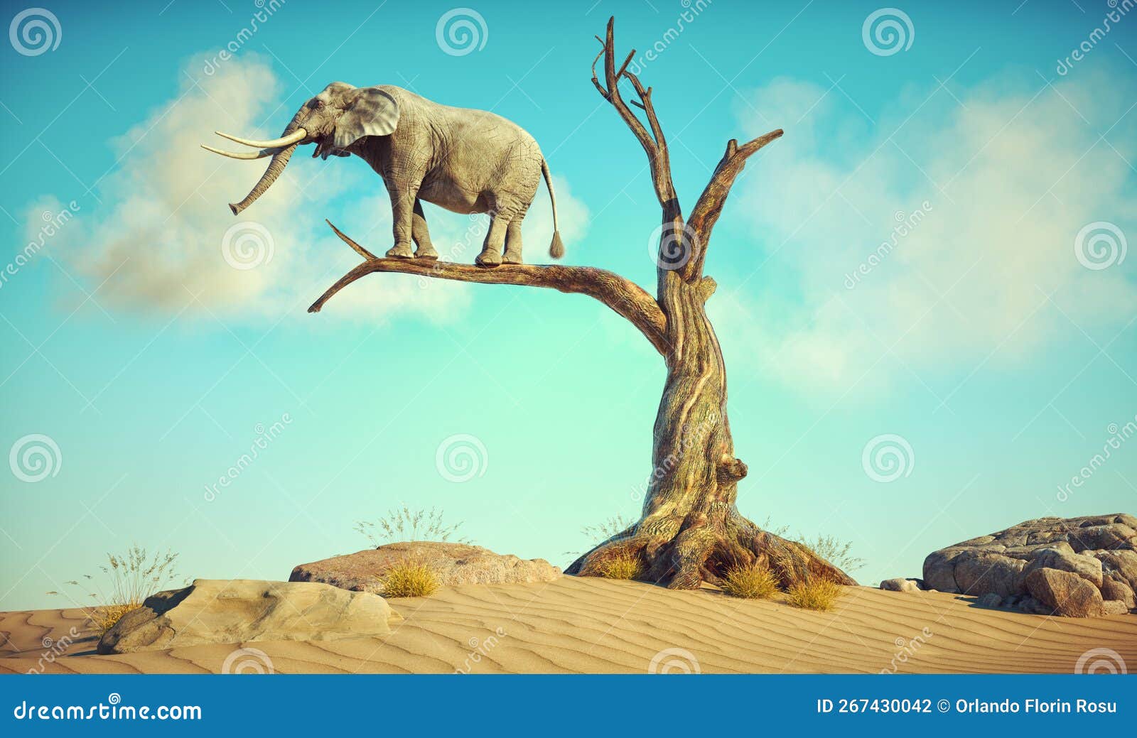 Elephant Stands on Thin Branch of Withered Tree in Surreal Landscape ...