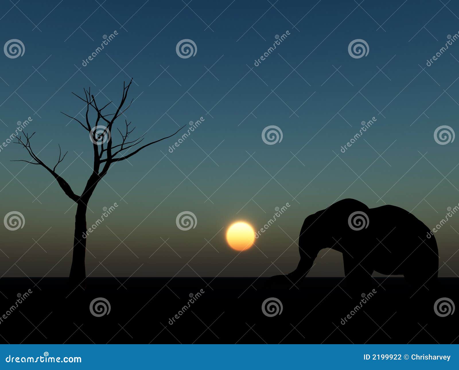 Elephant Sunrise 19 stock photo. Image of elephant, illuminated - 2199922