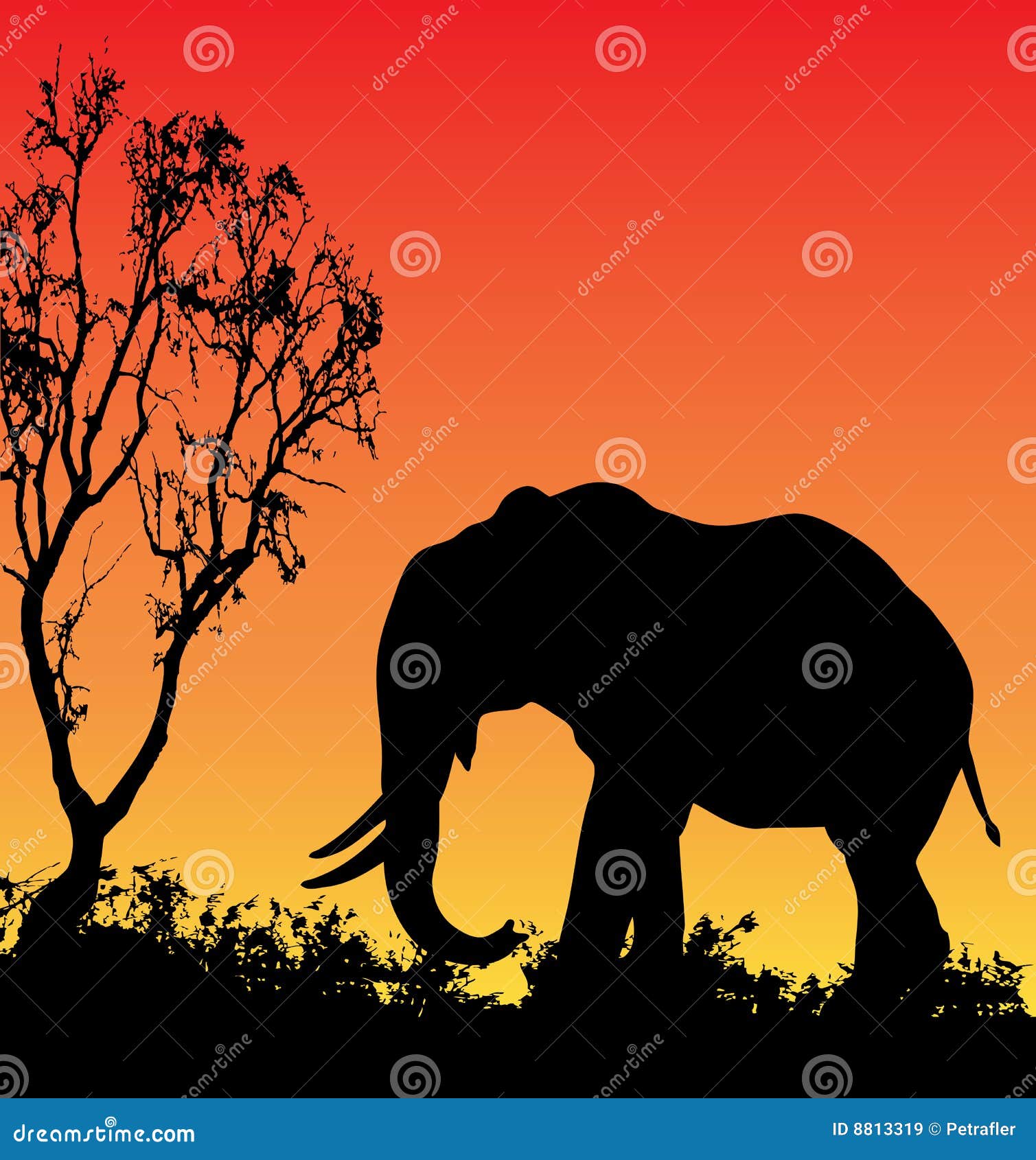 Elephant Sunset stock vector. Illustration of cool, nature - 8813319