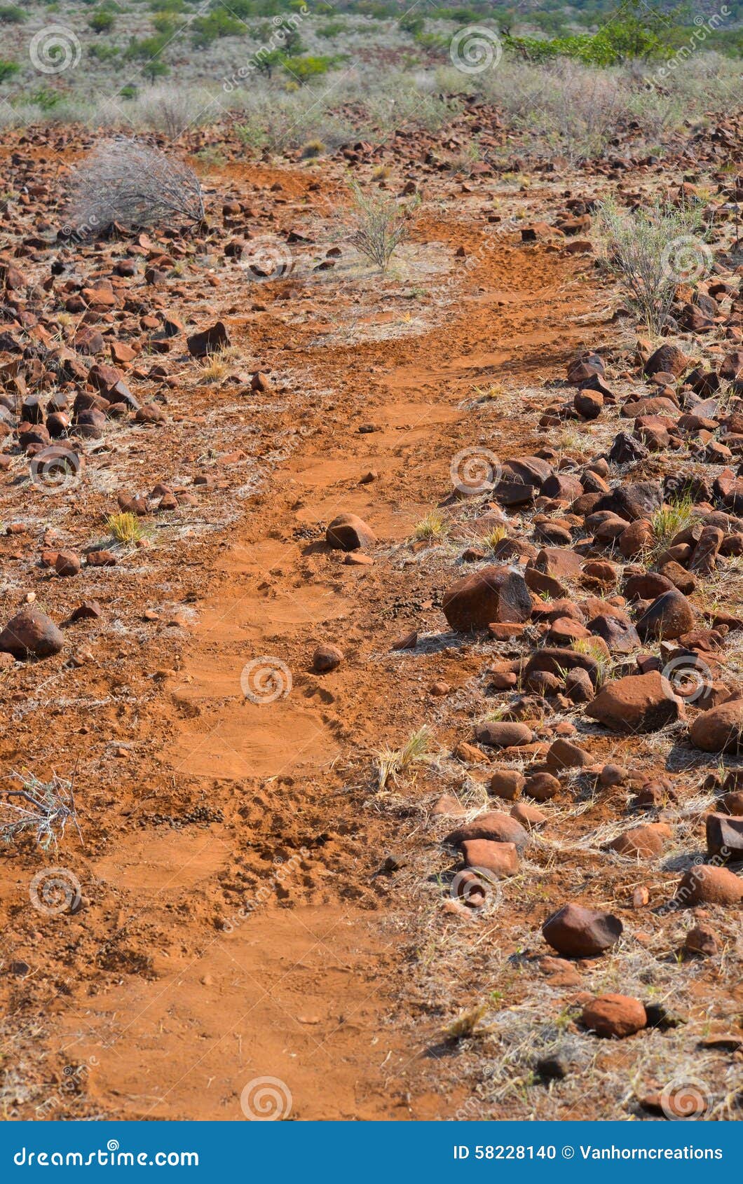 Elephant Tracks on Dirt Path Stock Photo - Image of elephant, rock ...