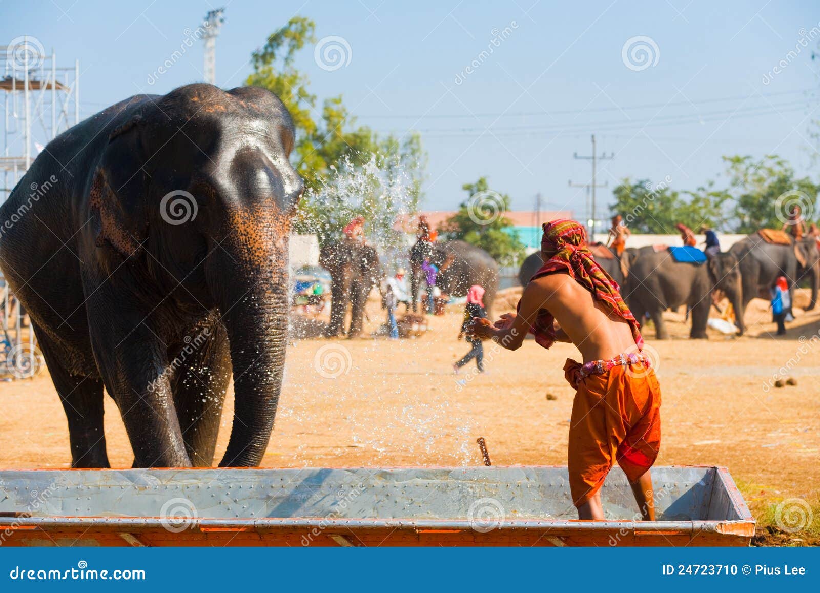 Elephant Trainer Splashing Water Editorial Image - Image of round ...