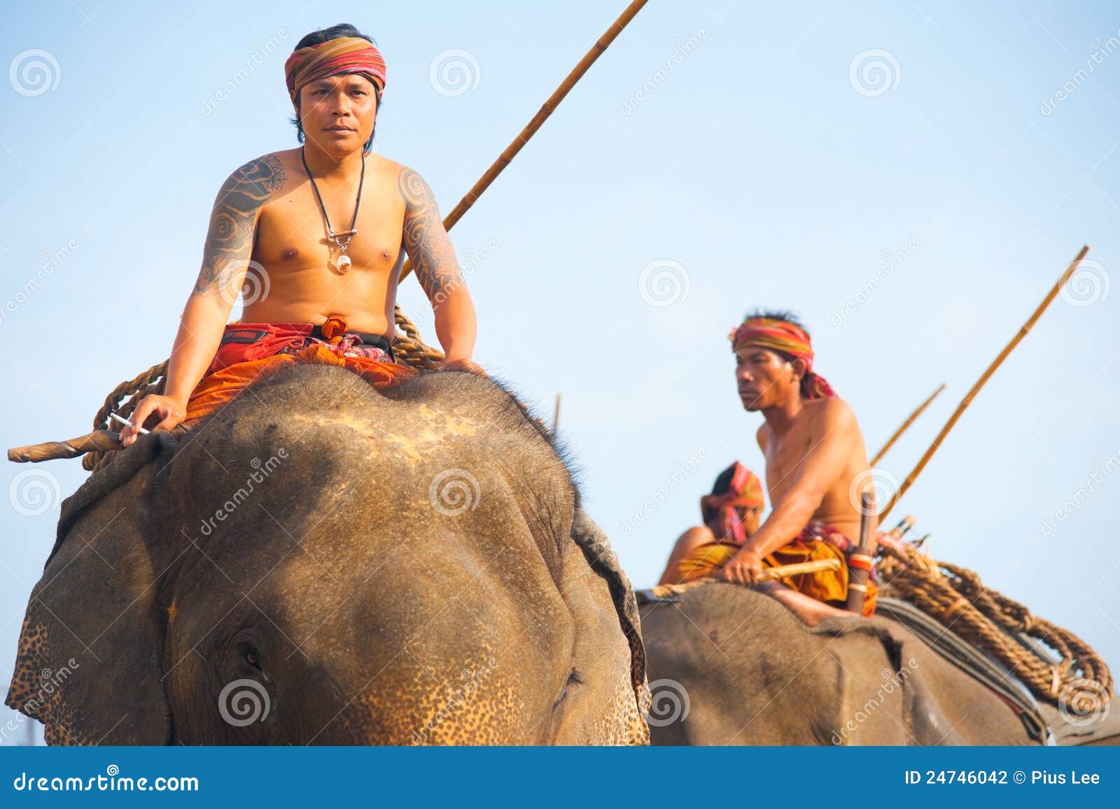 Elephant Trainers Riding High Editorial Photography - Image of partial ...