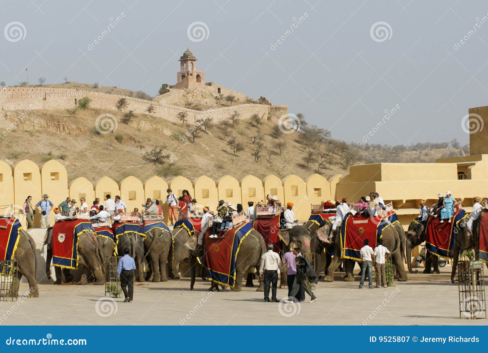 Elephant Transport editorial photography. Image of courtyard - 9525807
