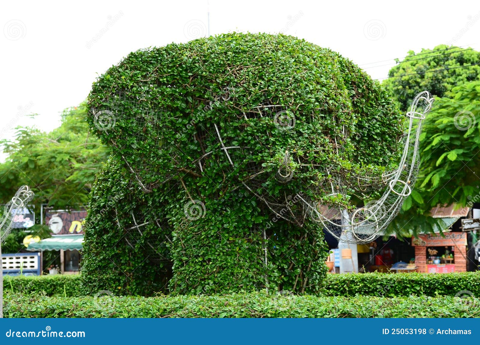 The Elephant tree form stock photo. Image of culture - 25053198