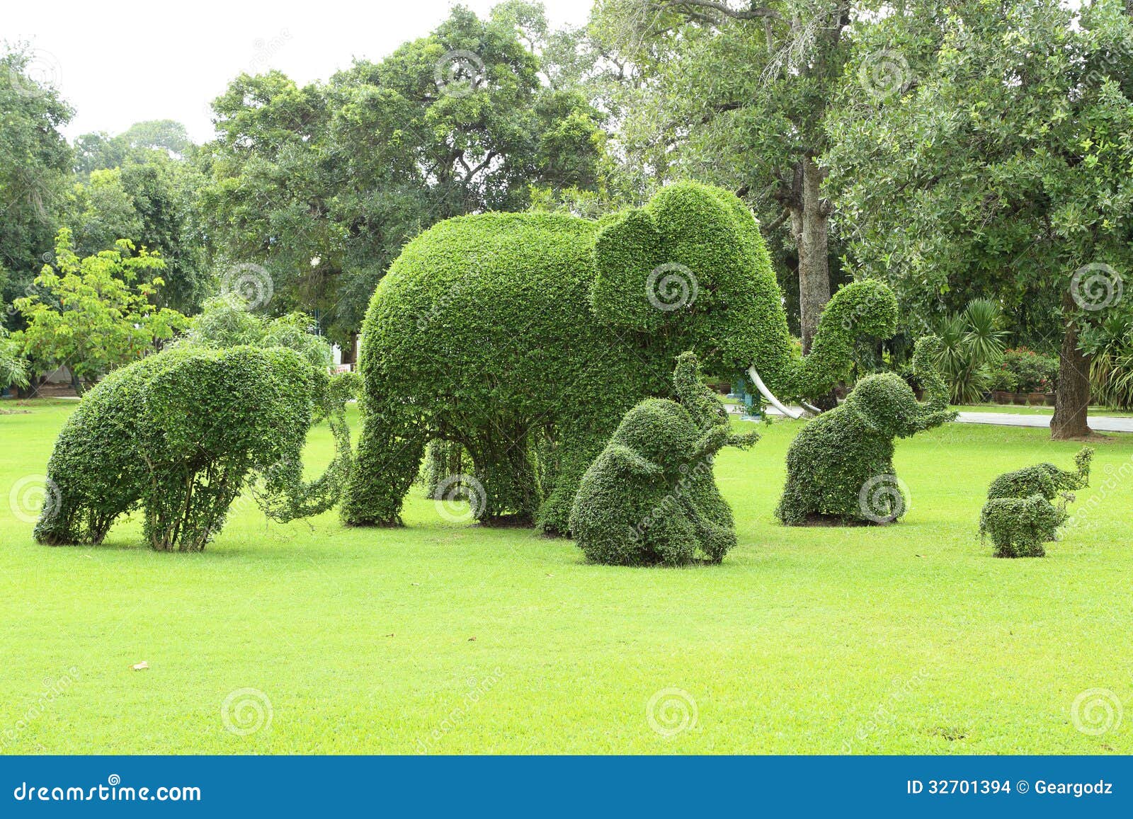 Elephant tree in the park stock photo. Image of green - 32701394