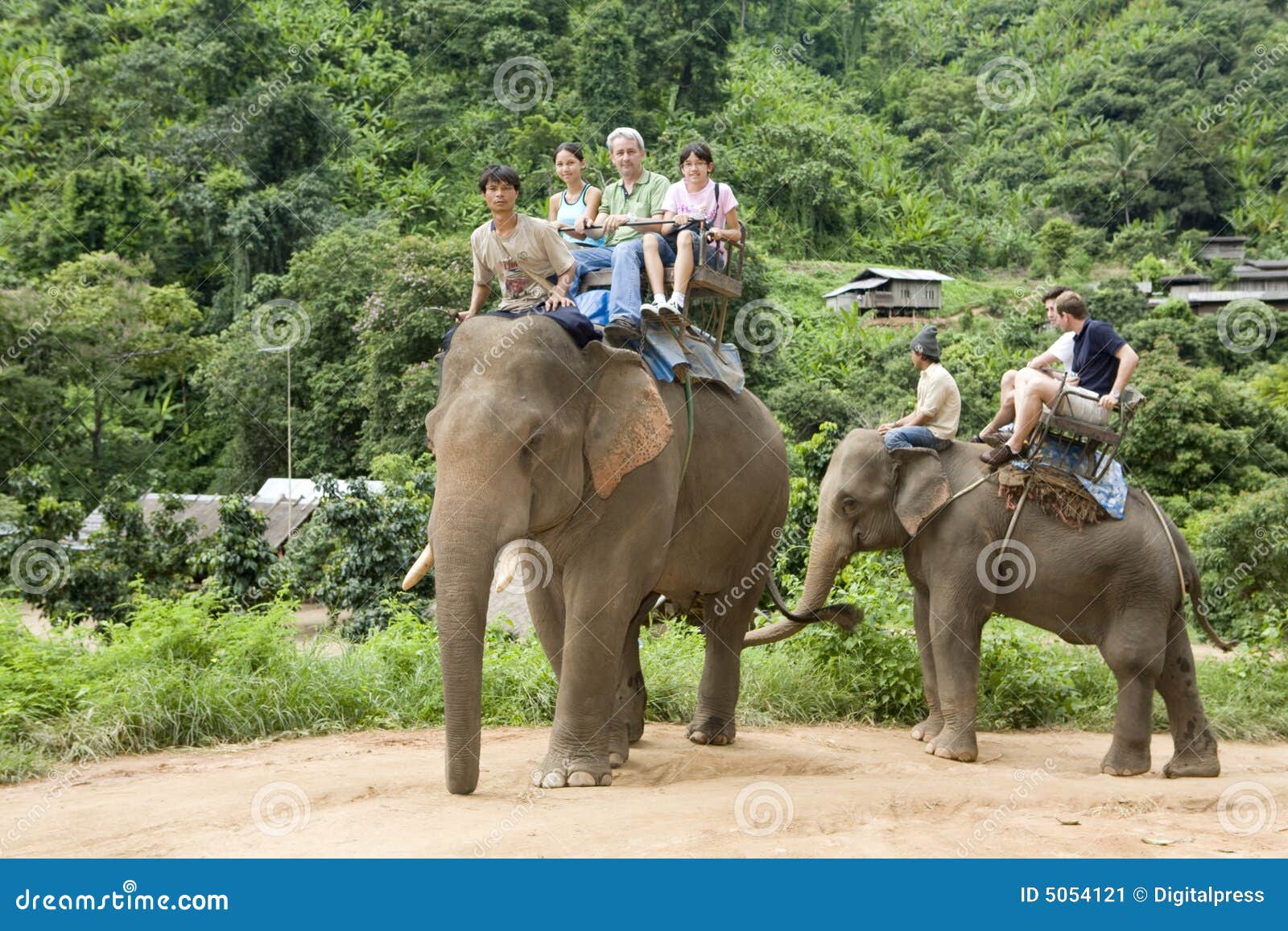 Elephant trekking editorial photo. Image of adventure - 5054121